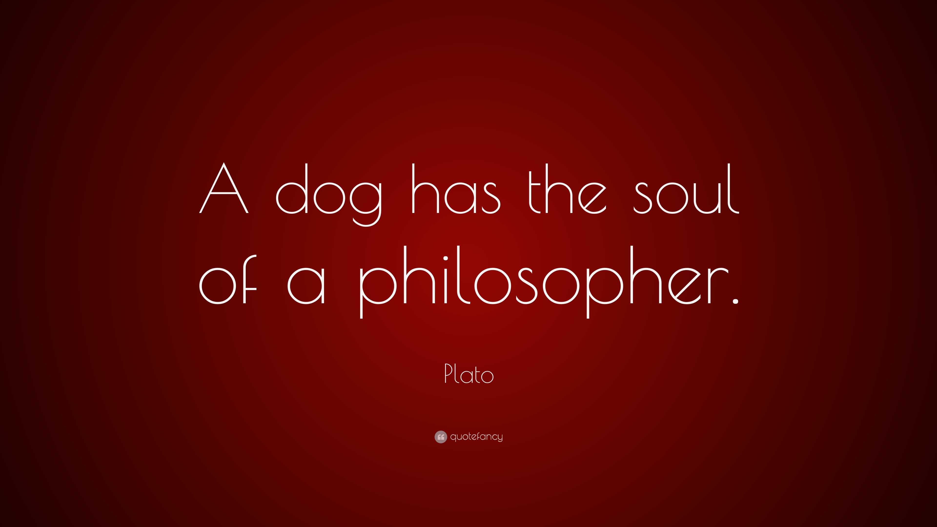 Plato Quote: “A dog has the soul of a philosopher.”