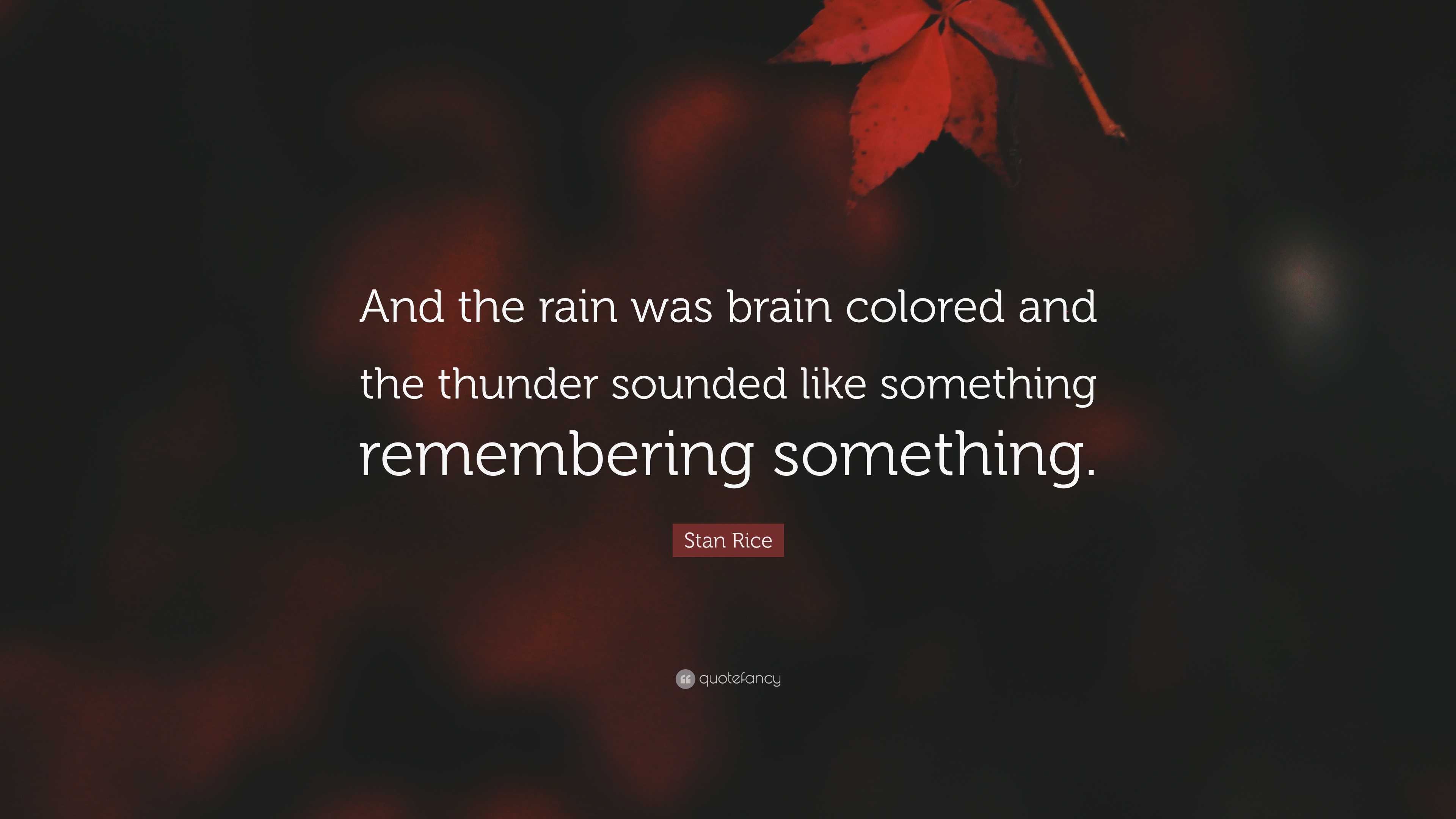 Stan Rice Quote: “And the rain was brain colored and the thunder ...