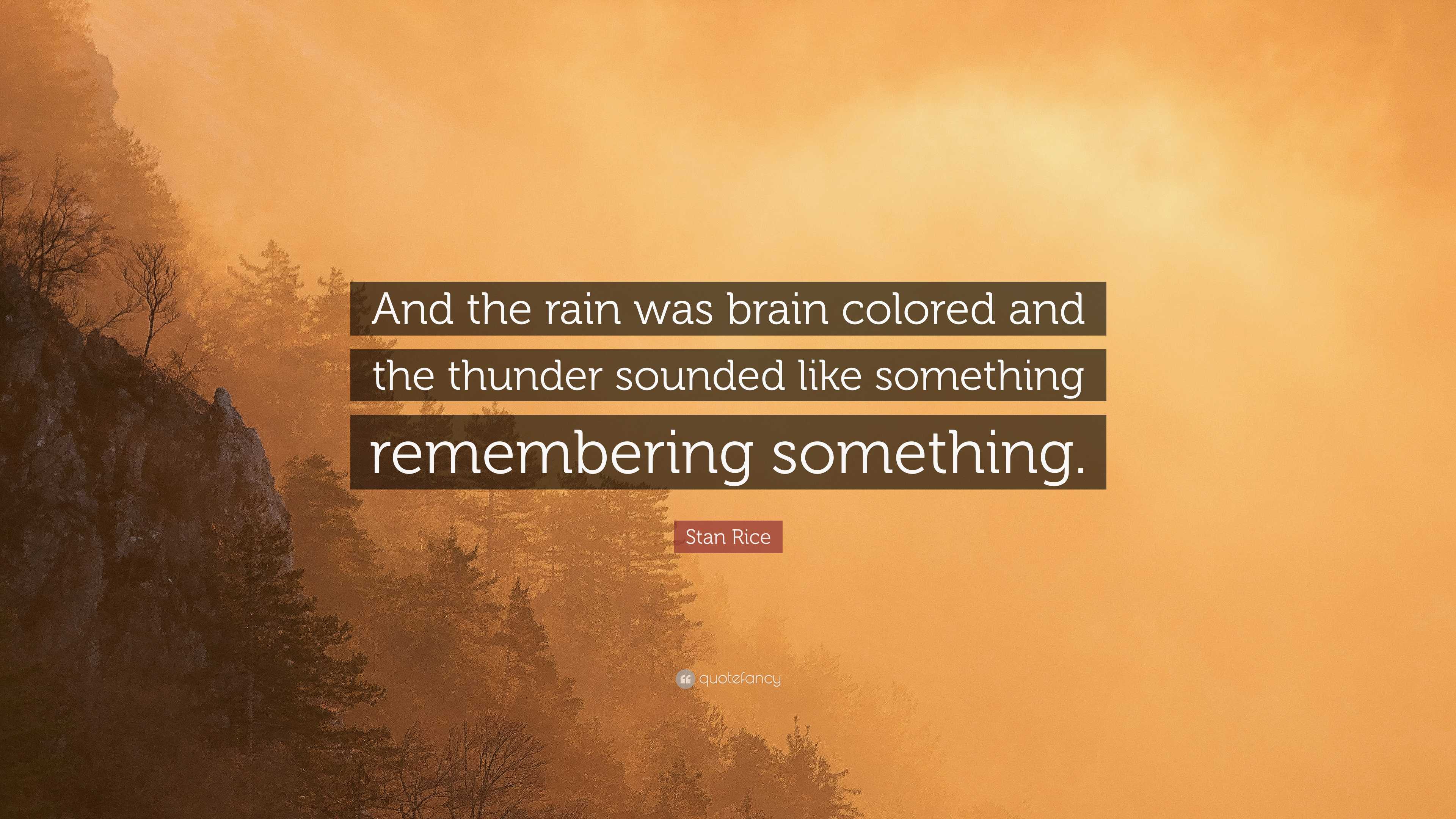 Stan Rice Quote: “And the rain was brain colored and the thunder ...