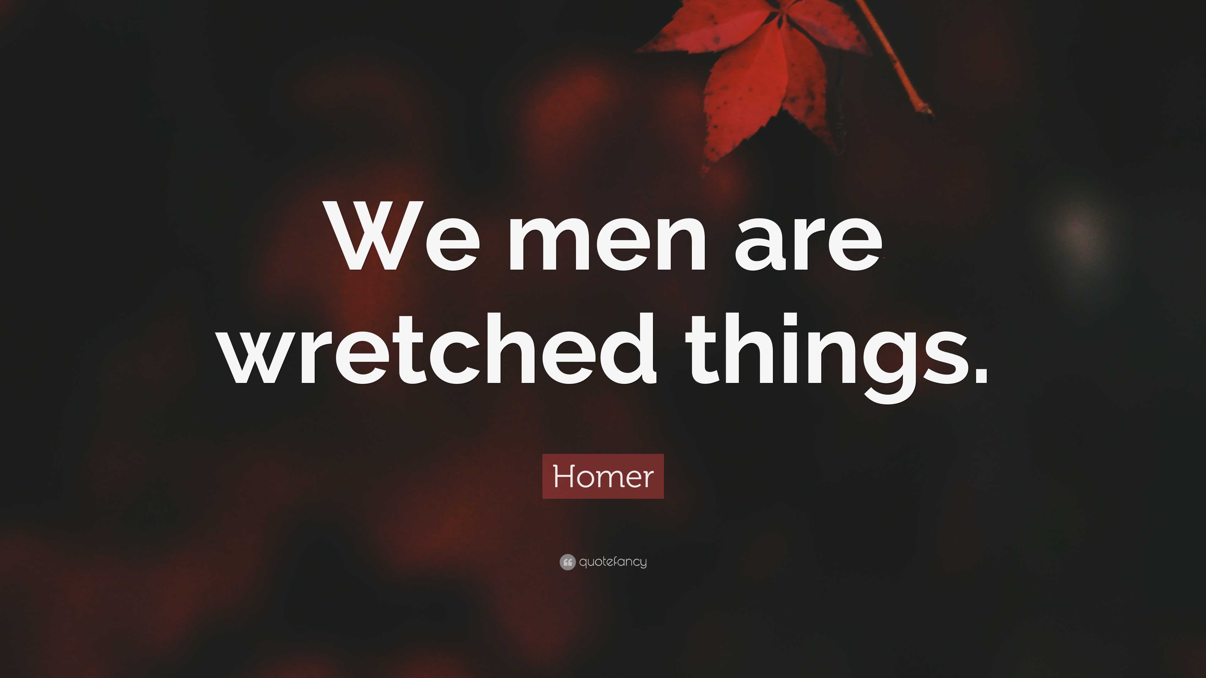 Homer Quote: “We men are wretched things.”