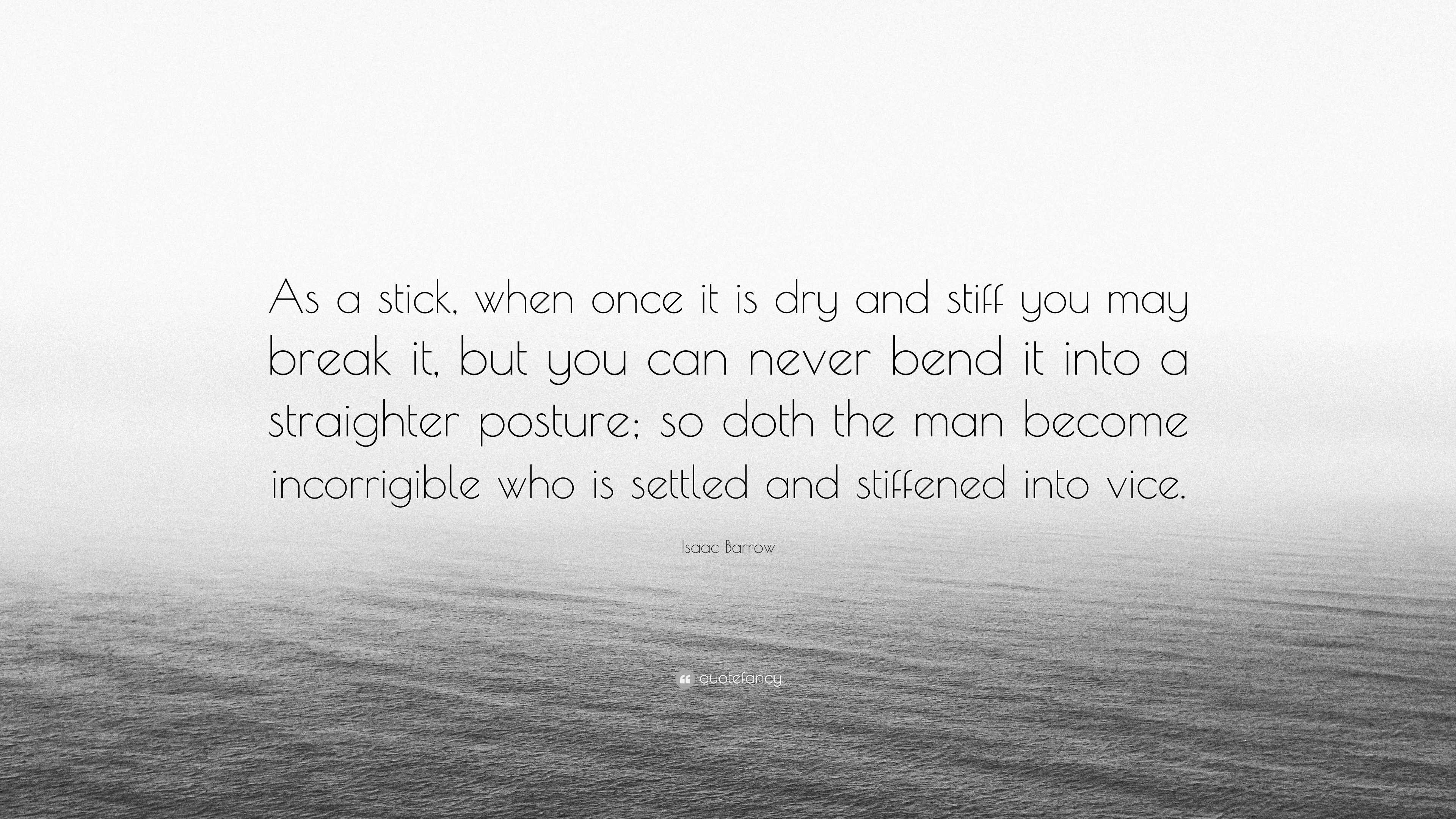 Isaac Barrow Quote: “As a stick, when once it is dry and stiff you may ...