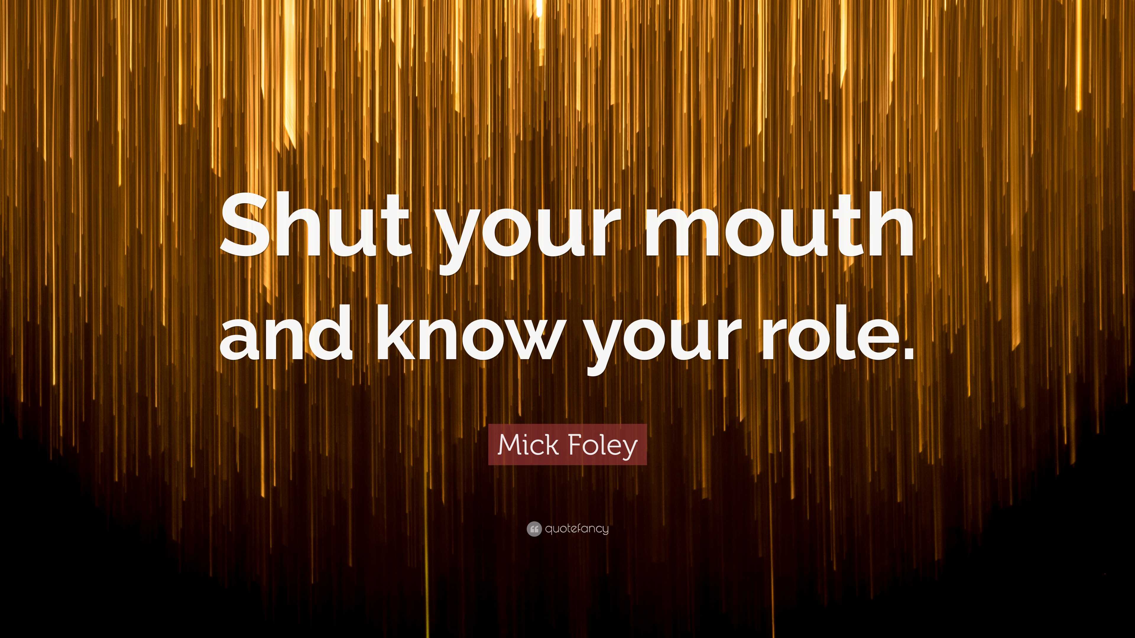 Mick Foley Quote: “Shut your mouth and know your role.”