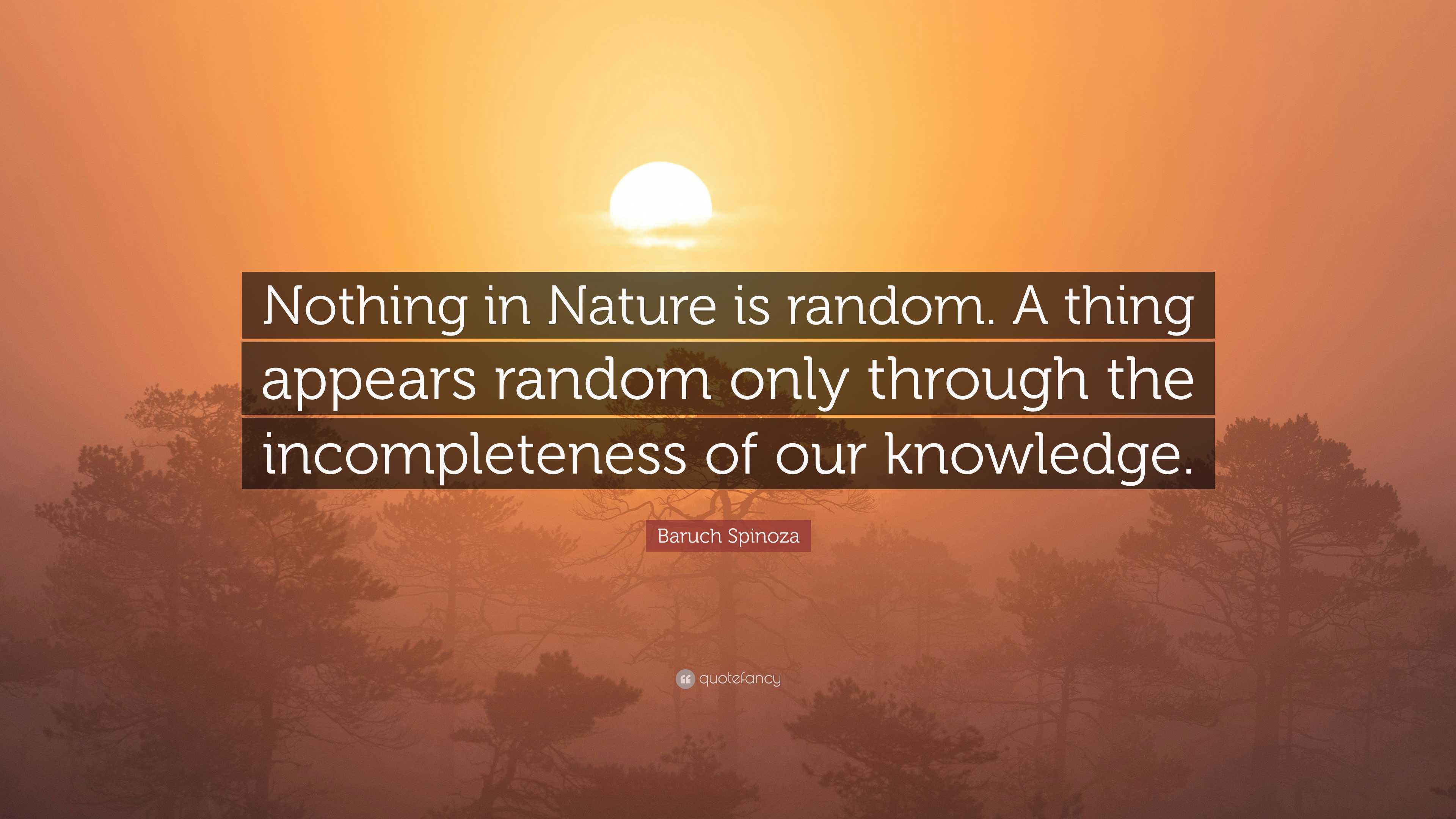 Baruch Spinoza Quote: “Nothing in Nature is random. A thing appears ...