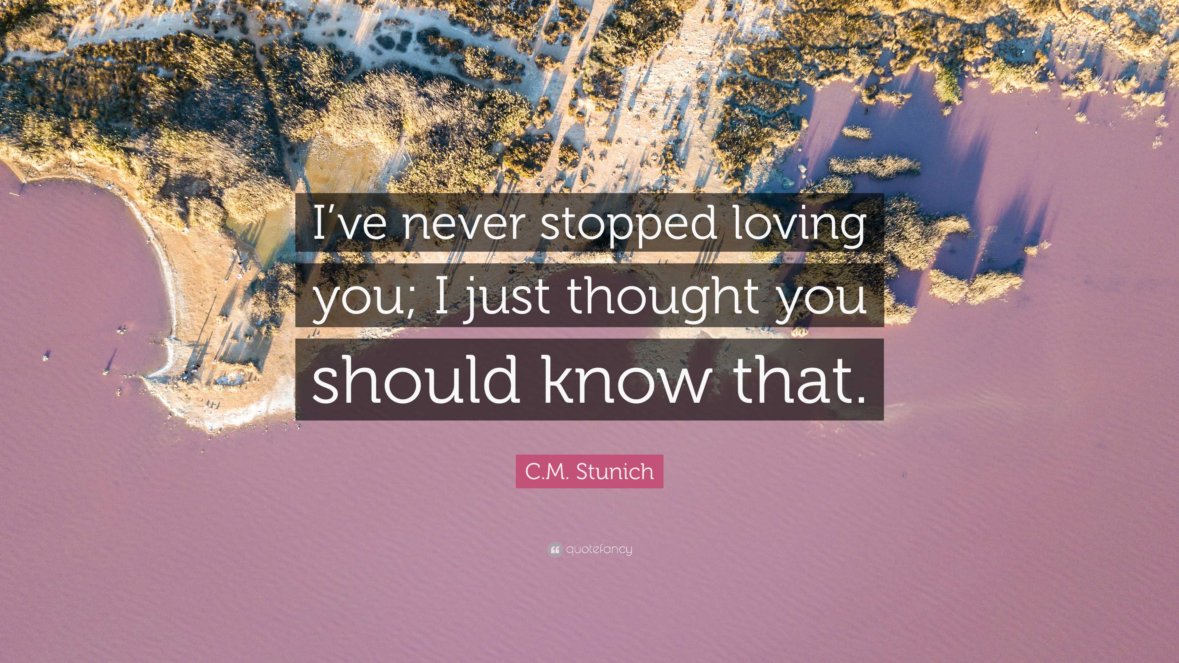 C.M. Stunich Quote: “I’ve never stopped loving you; I just thought you ...