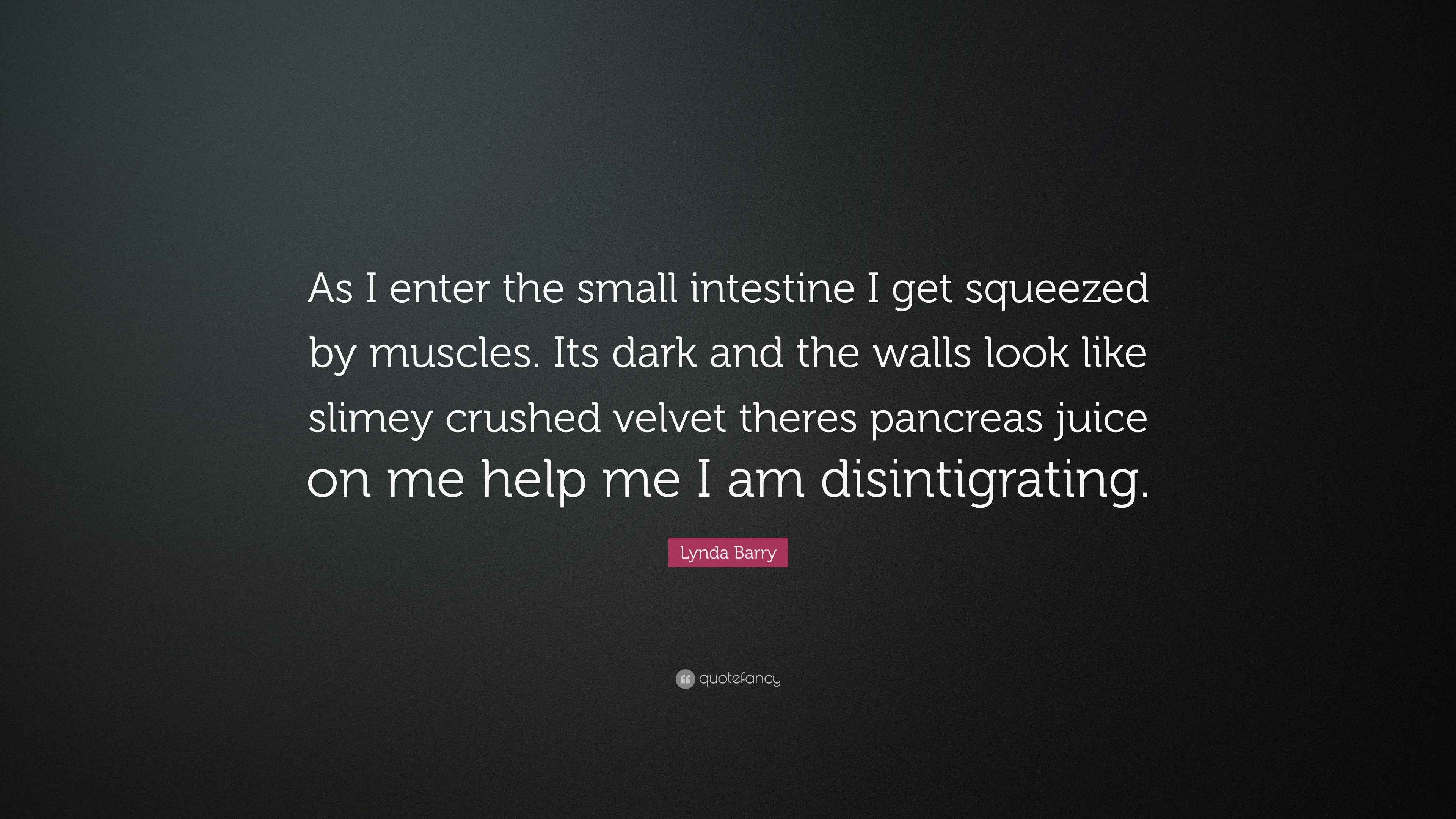 Lynda Barry Quote: “As I enter the small intestine I get squeezed by ...