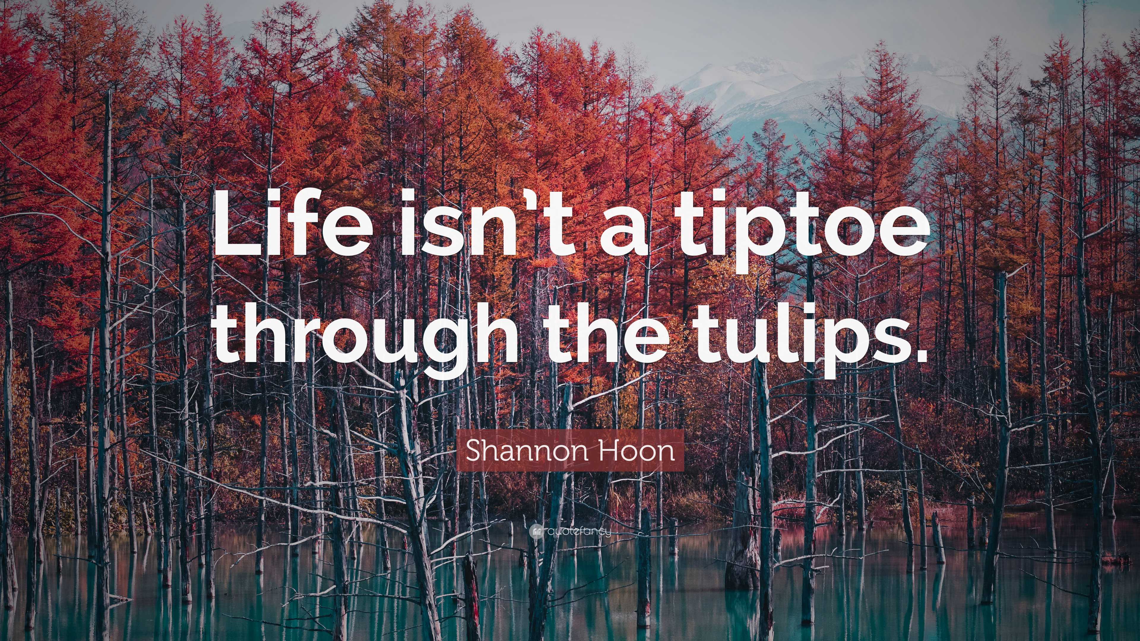 Shannon Hoon Quote: “Life isn’t a tiptoe through the tulips.”