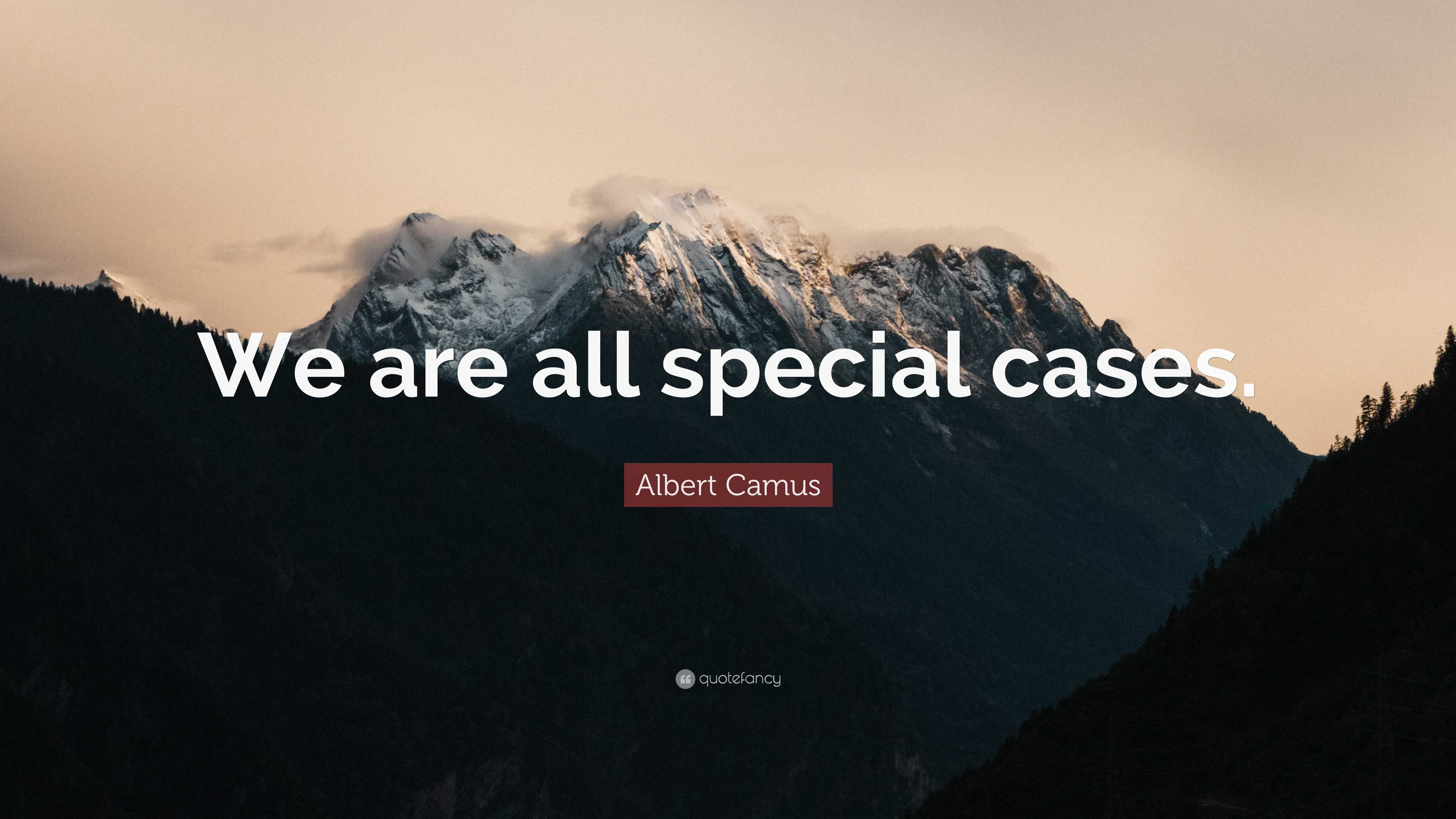 Albert Camus Quote: “We are all special cases.”