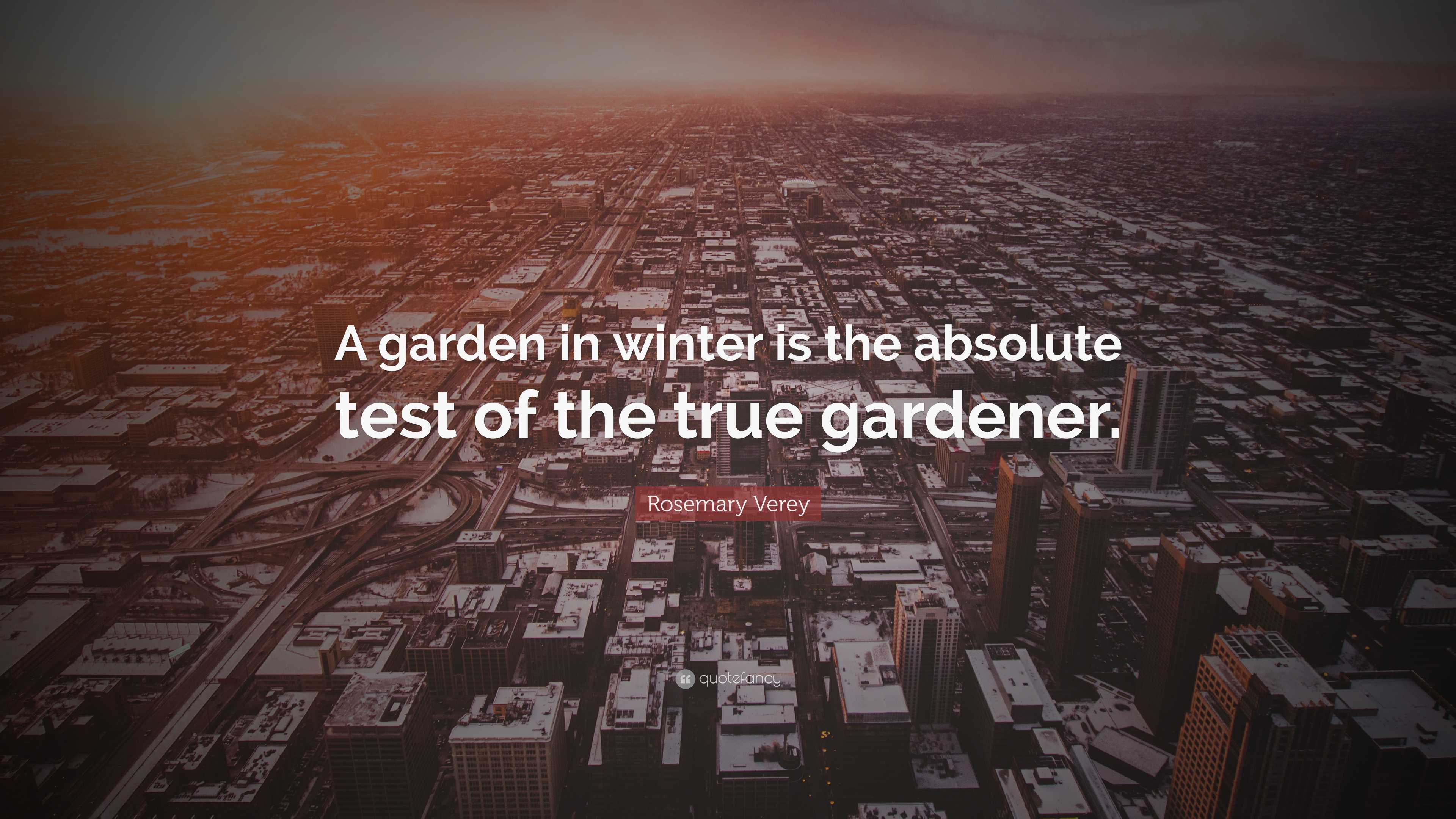 Rosemary Verey Quote: “A garden in winter is the absolute test of the ...