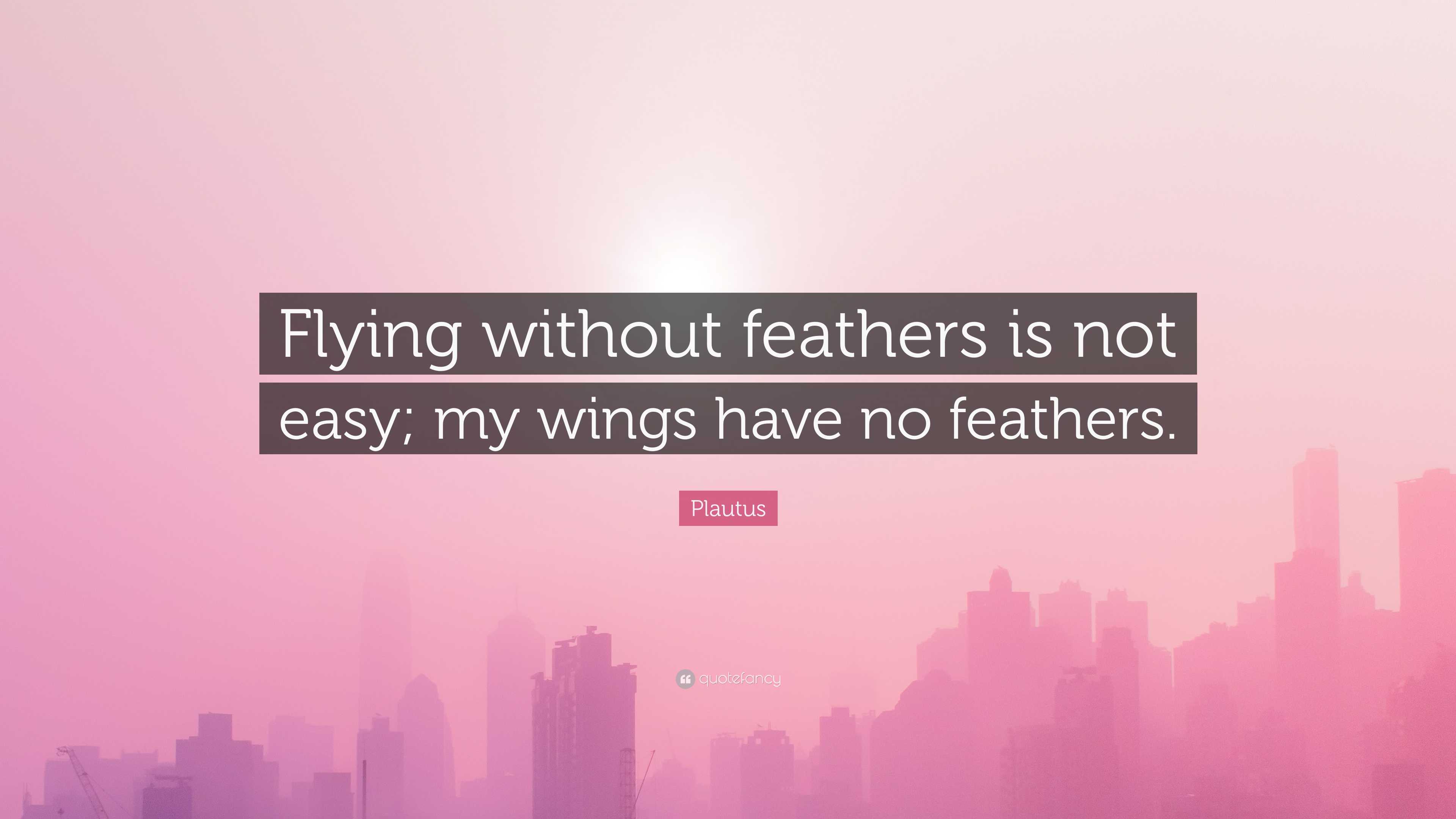 Plautus Quote: “Flying without feathers is not easy; my wings have no ...