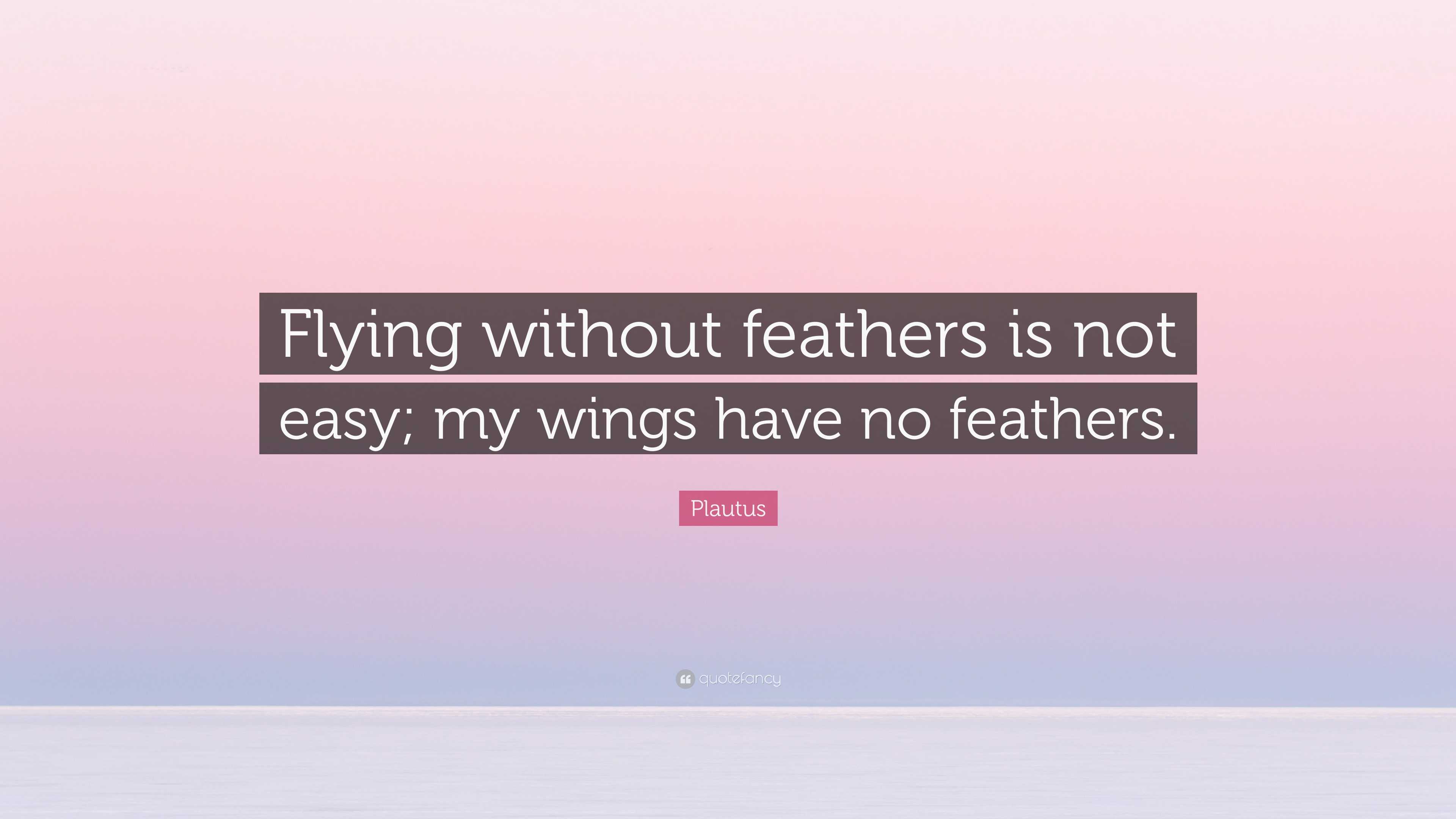 Plautus Quote: “Flying without feathers is not easy; my wings have no ...