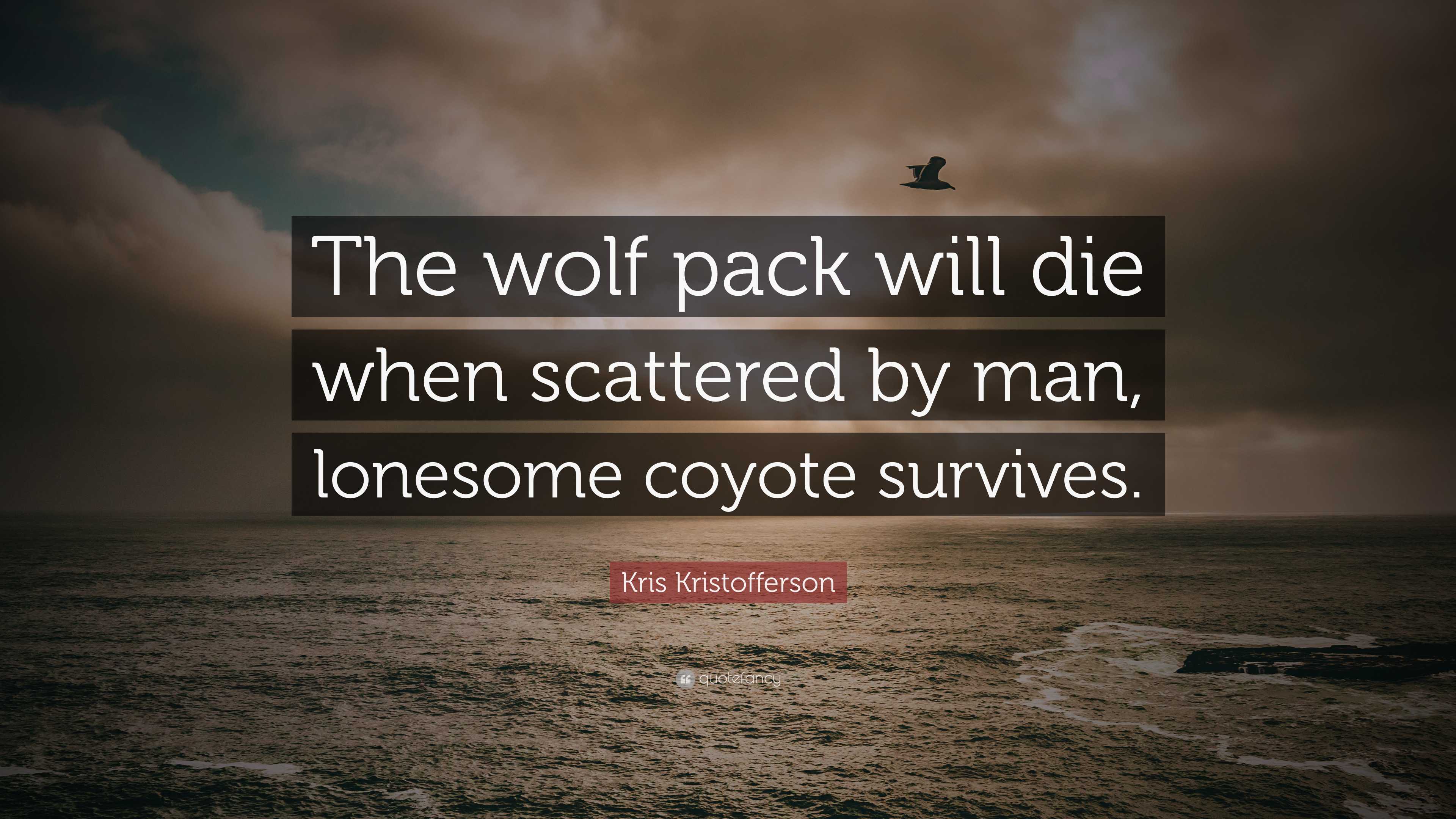 Wolfpac Quotes Kris Kristofferson Quote: “The Wolf Pack Will Die