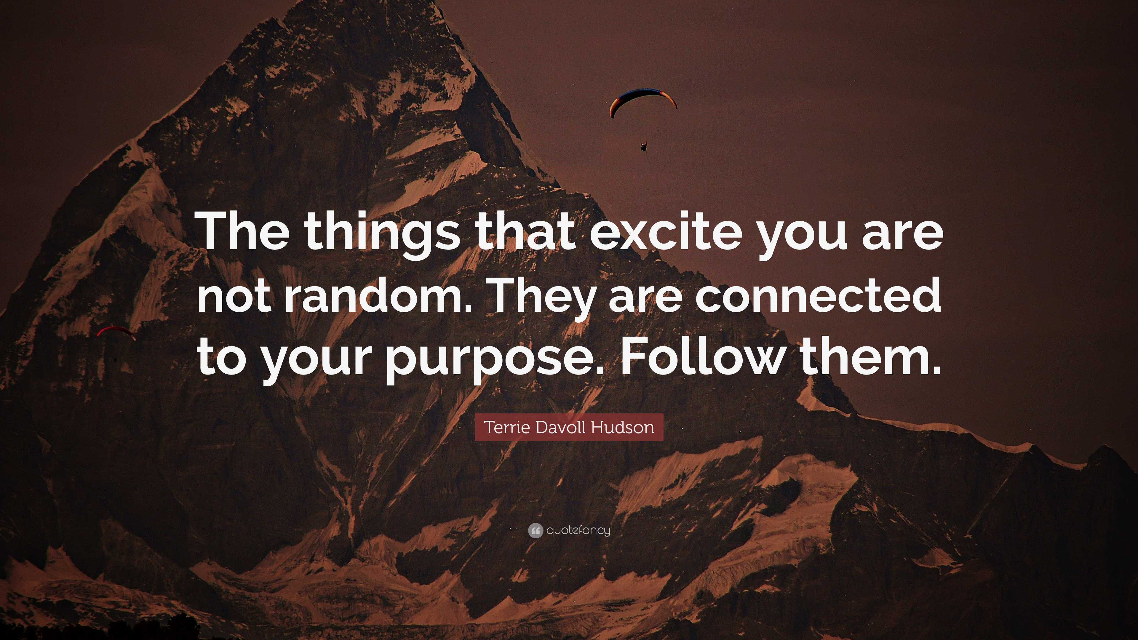 Terrie Davoll Hudson Quote: “The things that excite you are not random ...