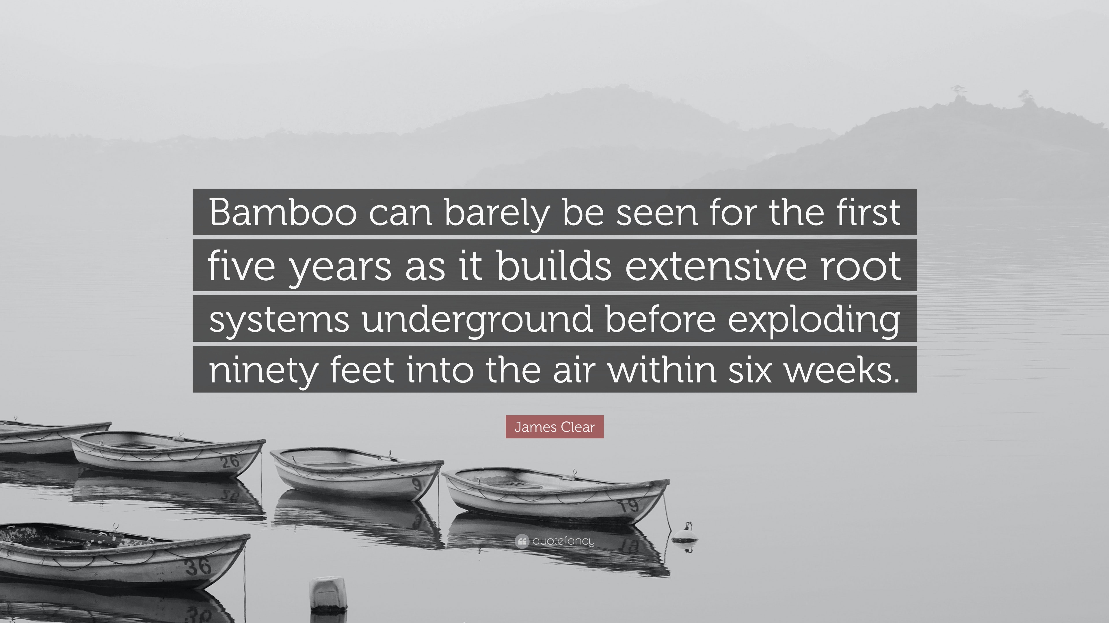 James Clear Quote: “Bamboo can barely be seen for the first five years ...