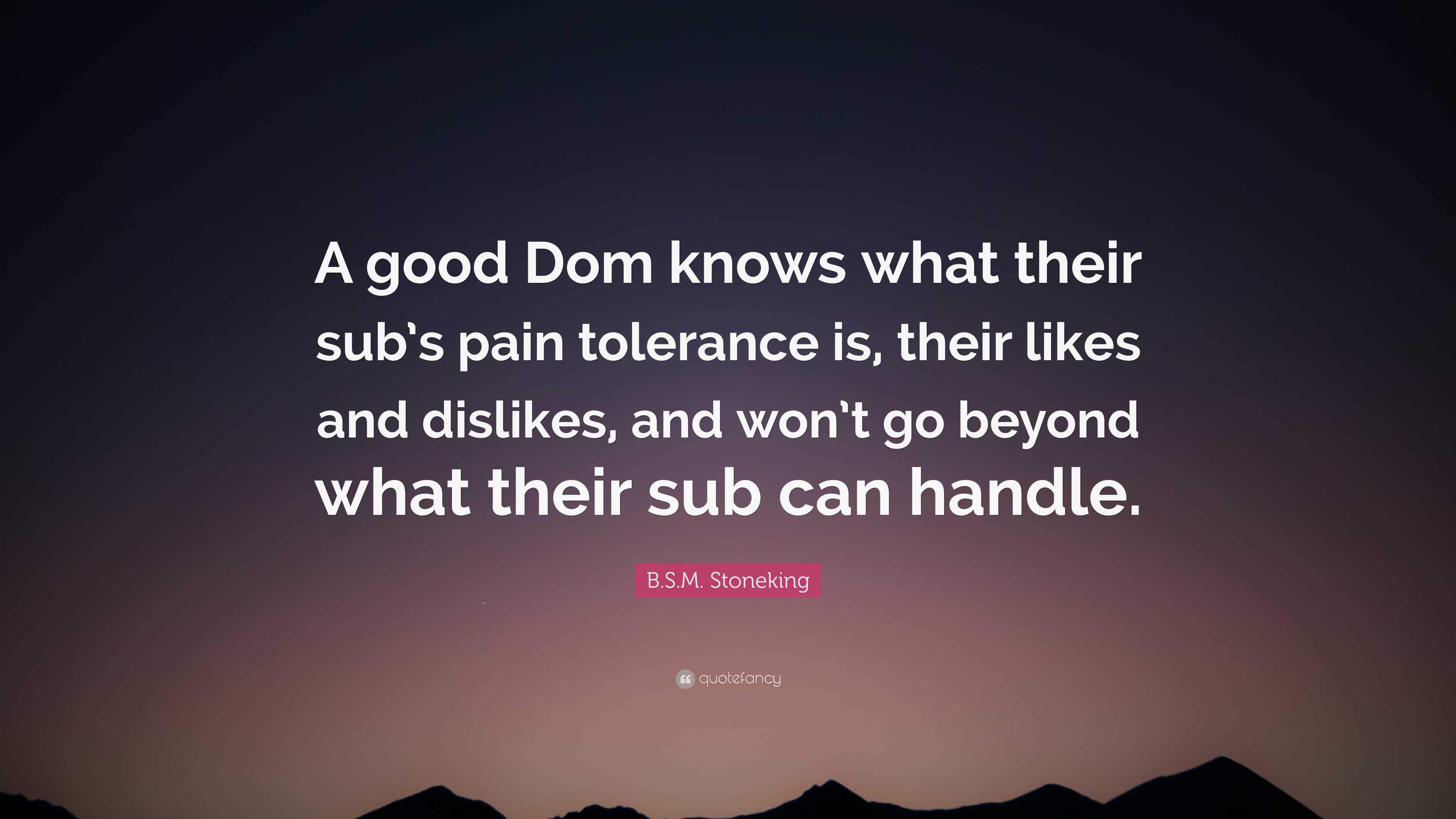 B.S.M. Stoneking Quote: “A good Dom knows what their sub’s pain ...