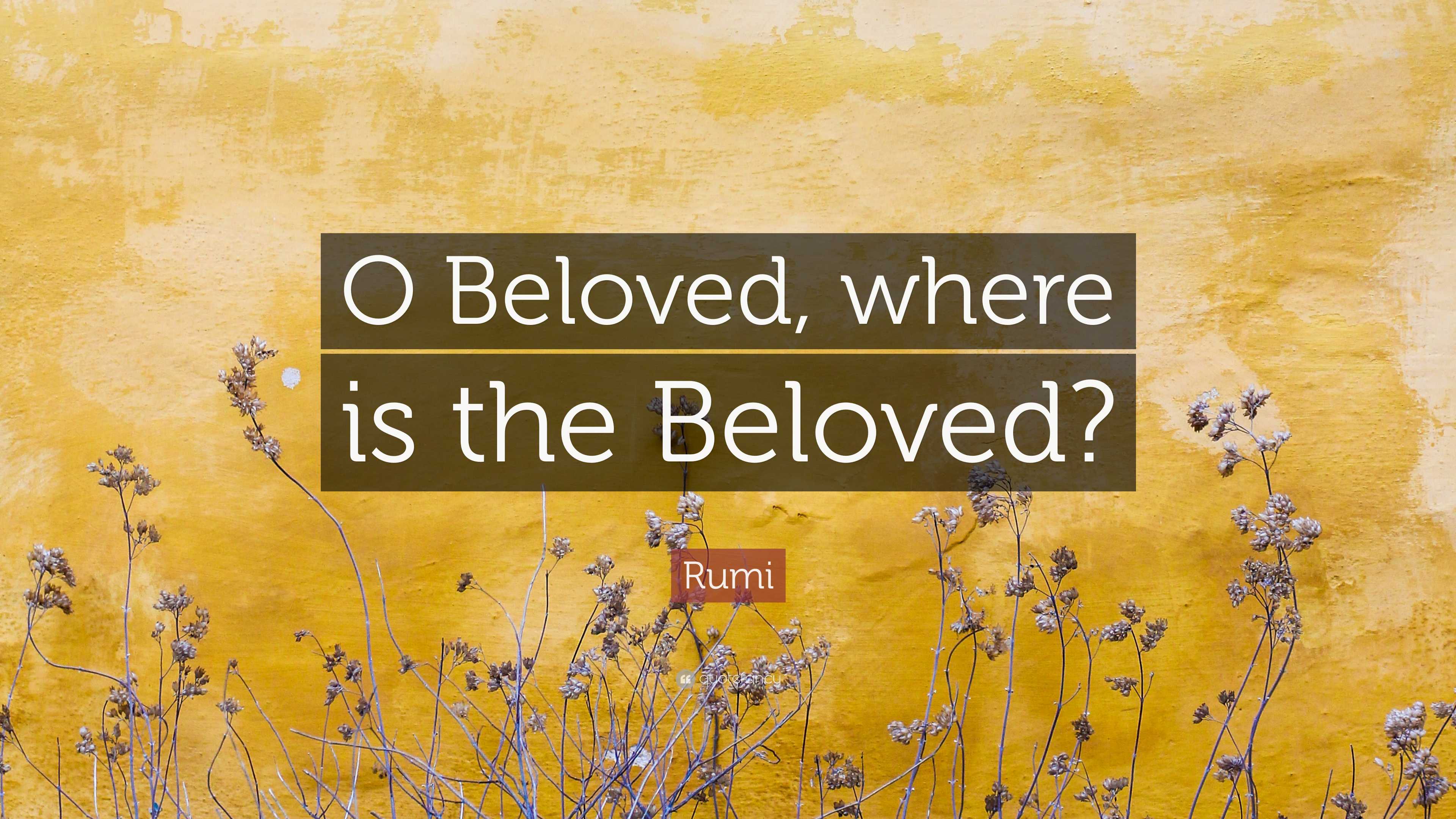 Rumi Quote: “O Beloved, where is the Beloved?”