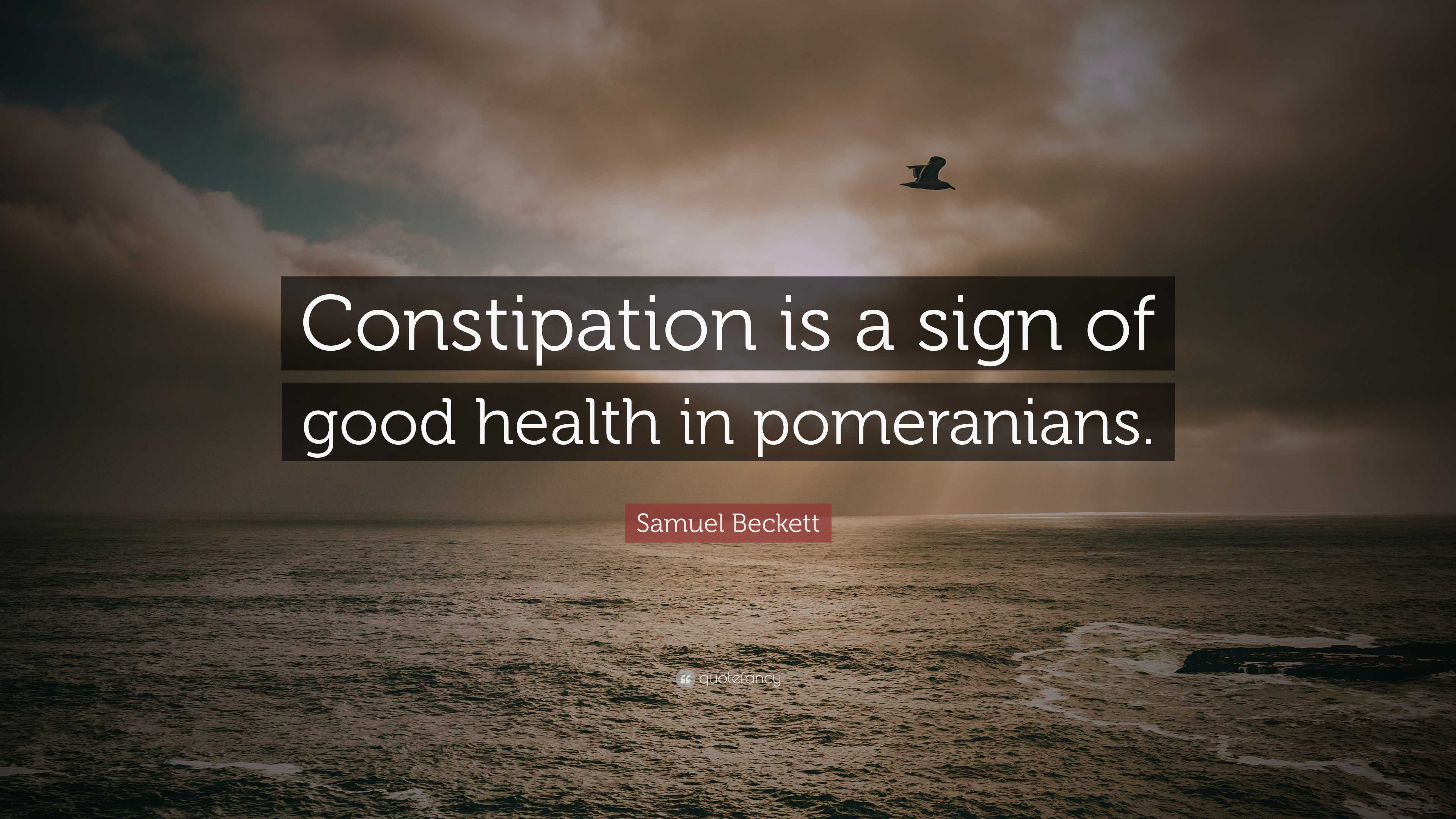 Samuel Beckett Quote: “Constipation is a sign of good health in ...