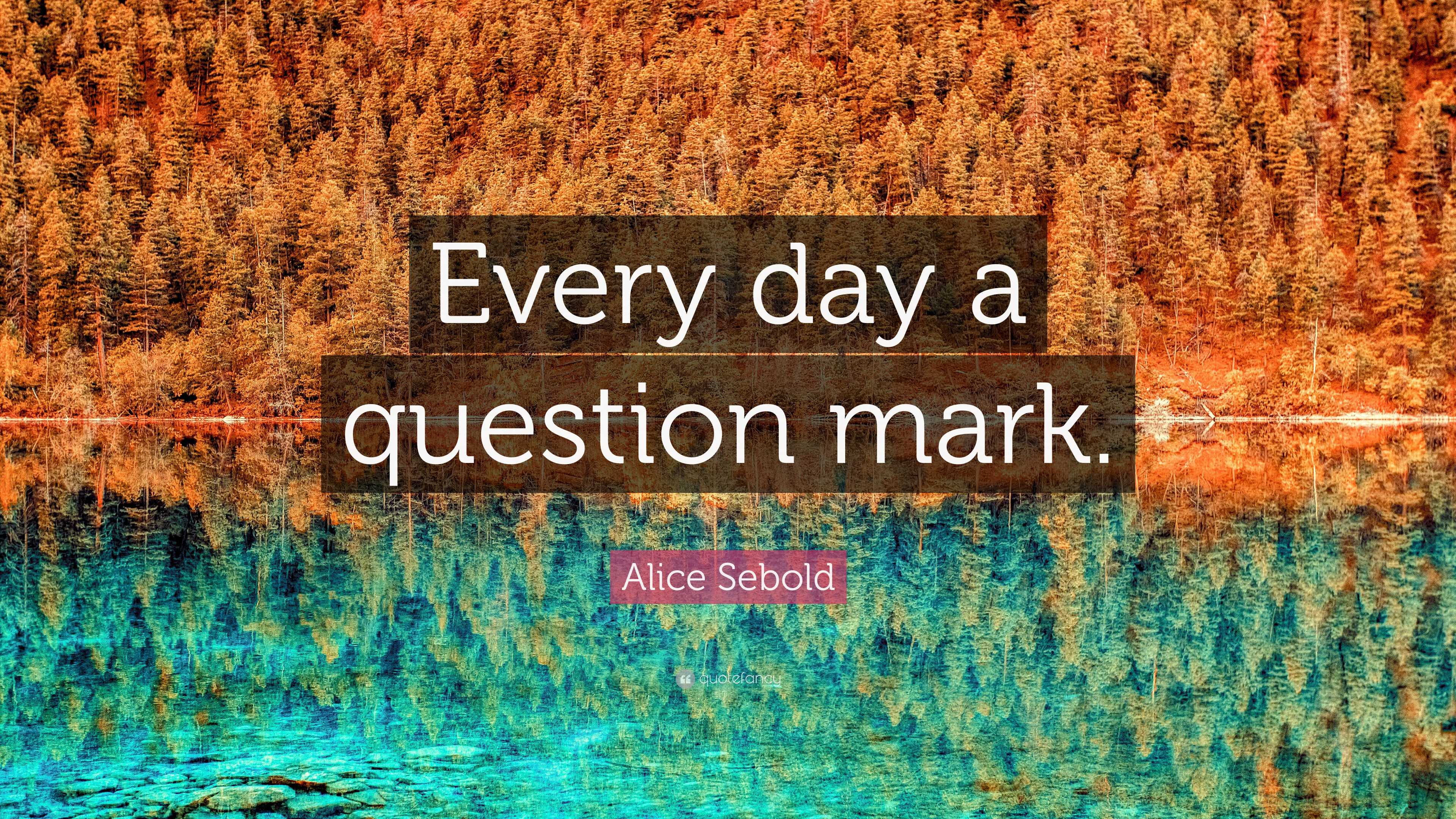 Alice Sebold Quote: “Every day a question mark.”