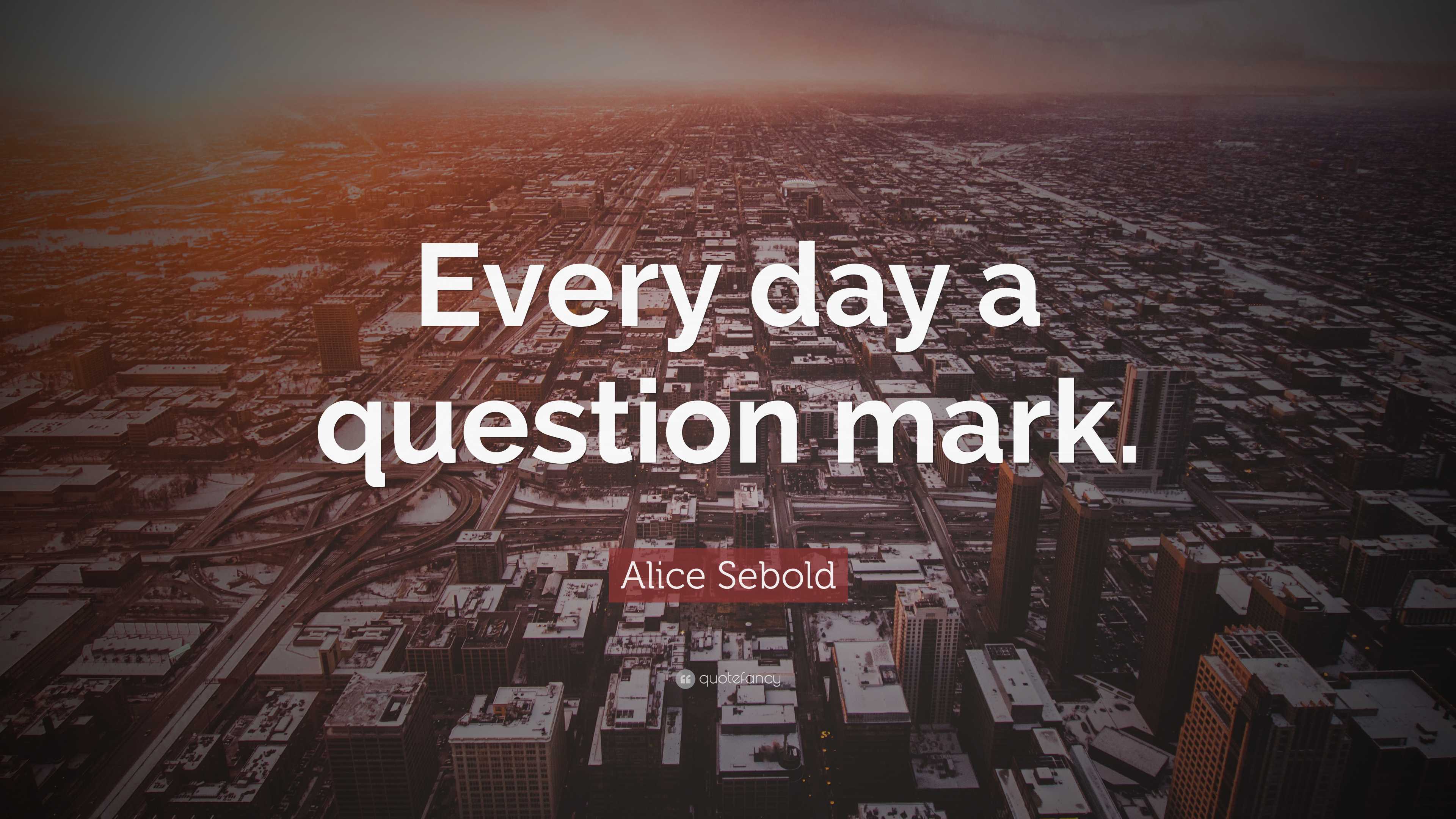Alice Sebold Quote: “Every day a question mark.”