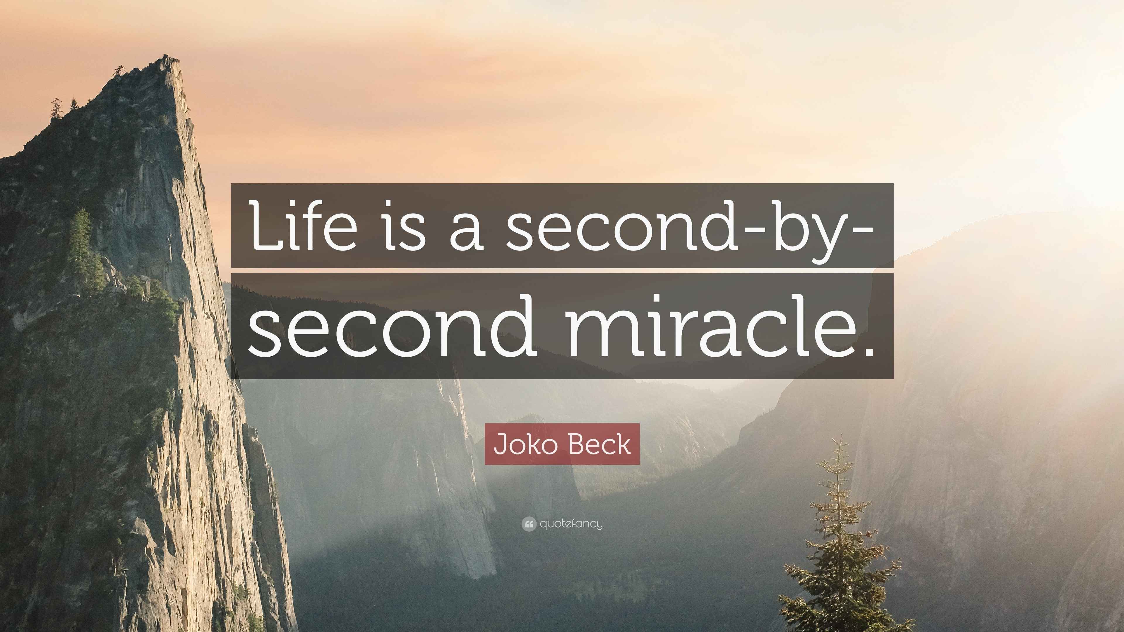 Joko Beck Quote: “Life is a second-by-second miracle.”