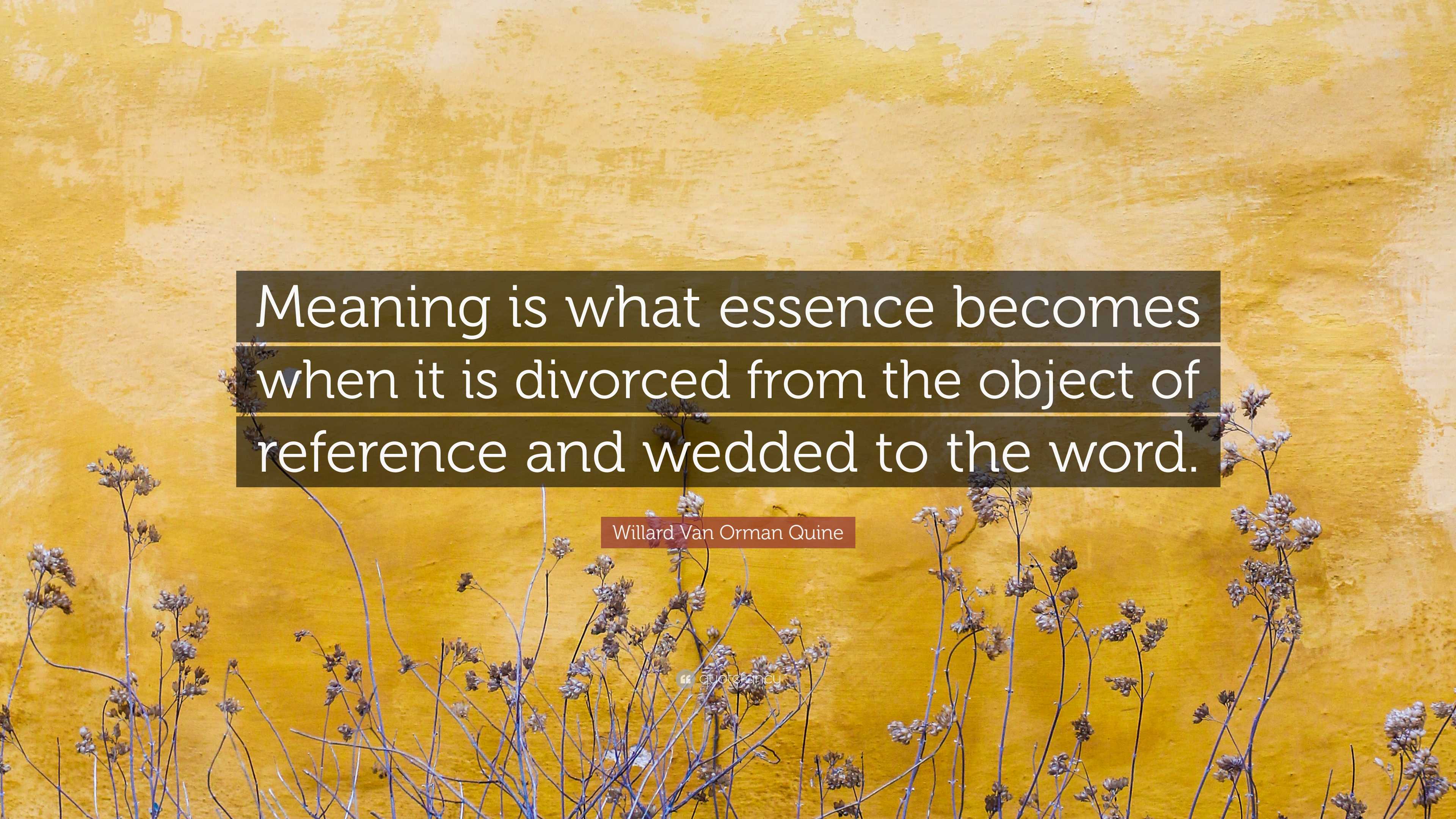 Willard Van Orman Quine Quote: “Meaning is what essence becomes when it ...