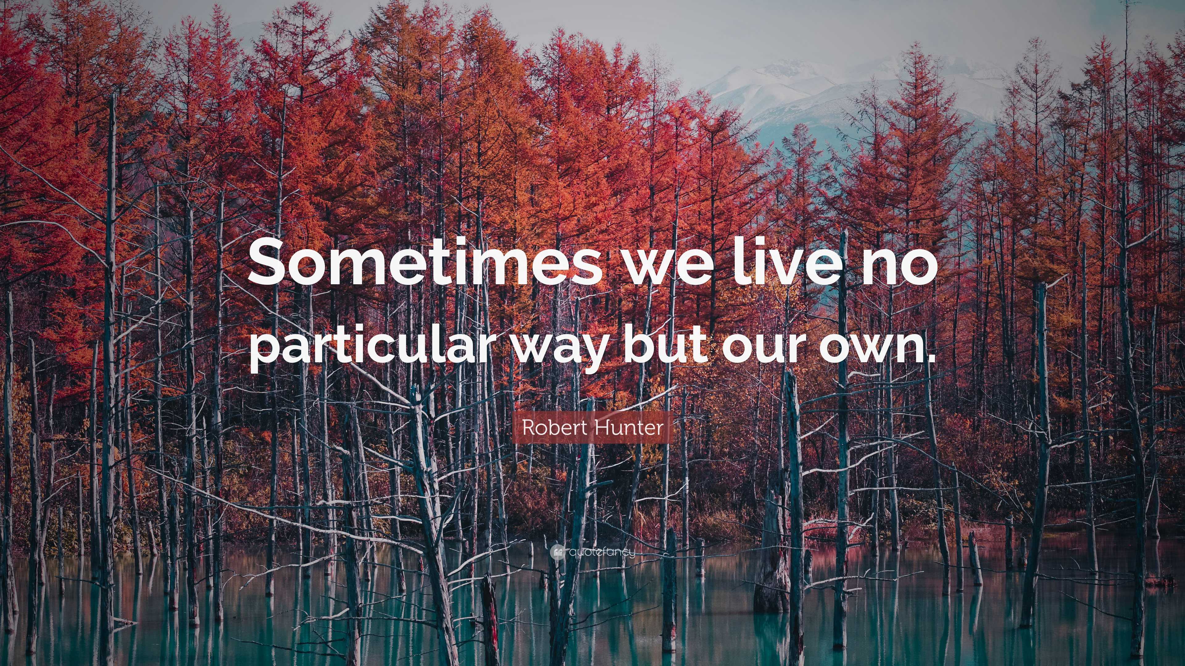 Robert Hunter Quote: “Sometimes we live no particular way but our own.”