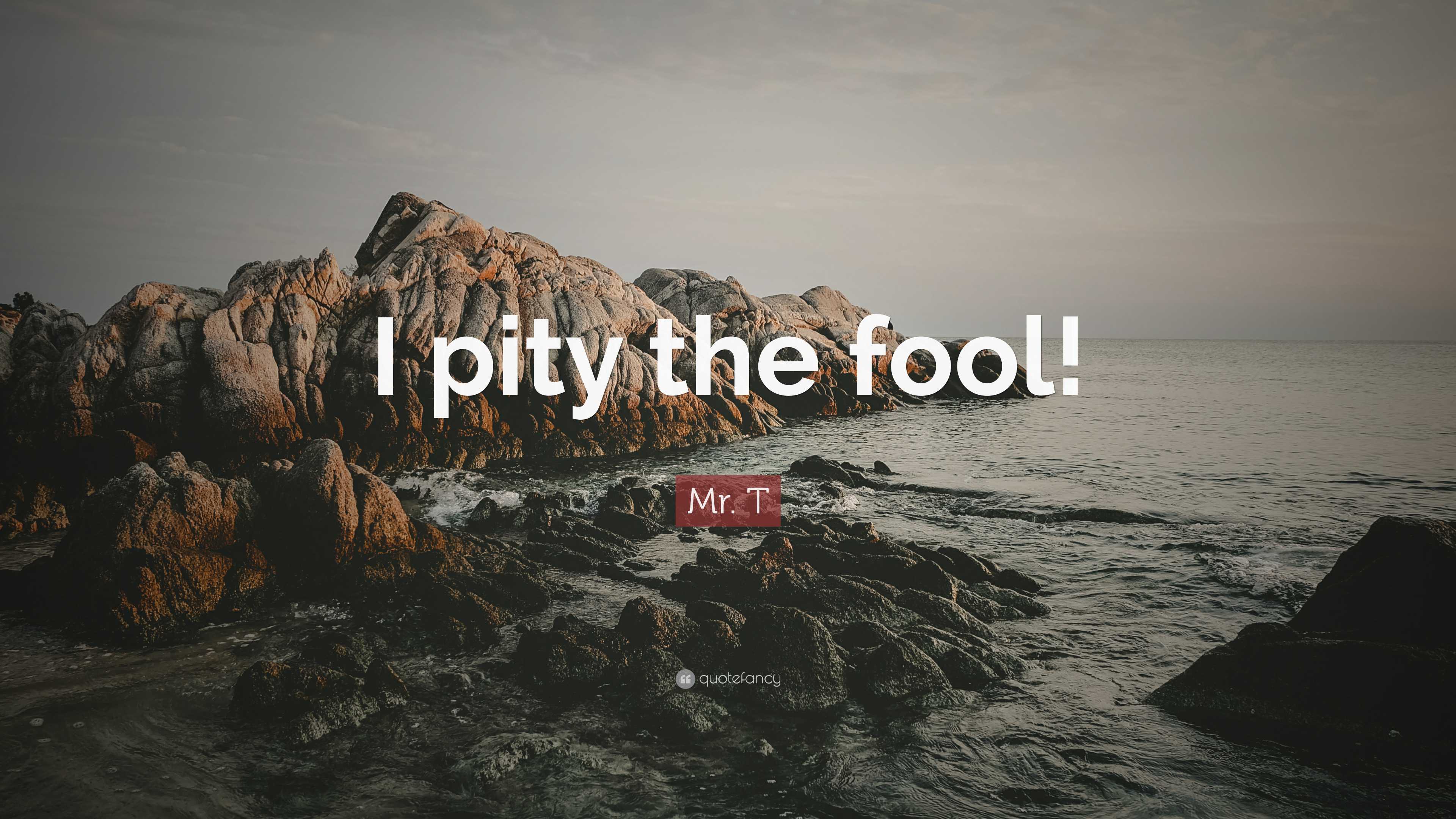 Mr. T Quote: “I pity the fool!”