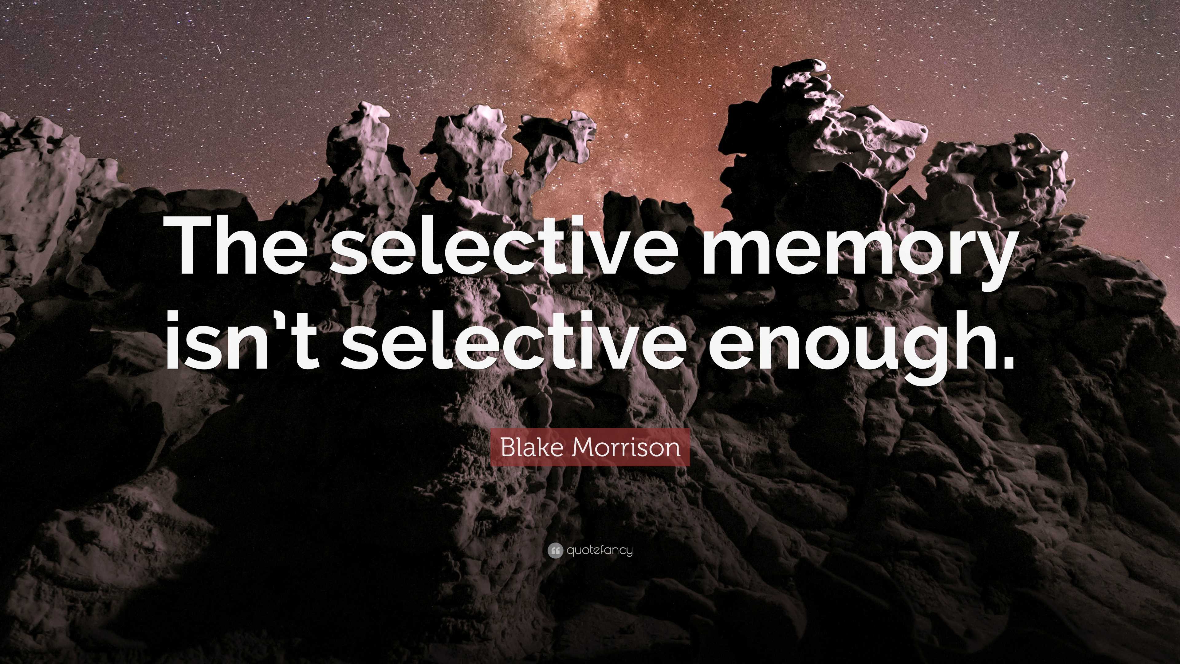 Blake Morrison Quote: “The selective memory isn’t selective enough.”