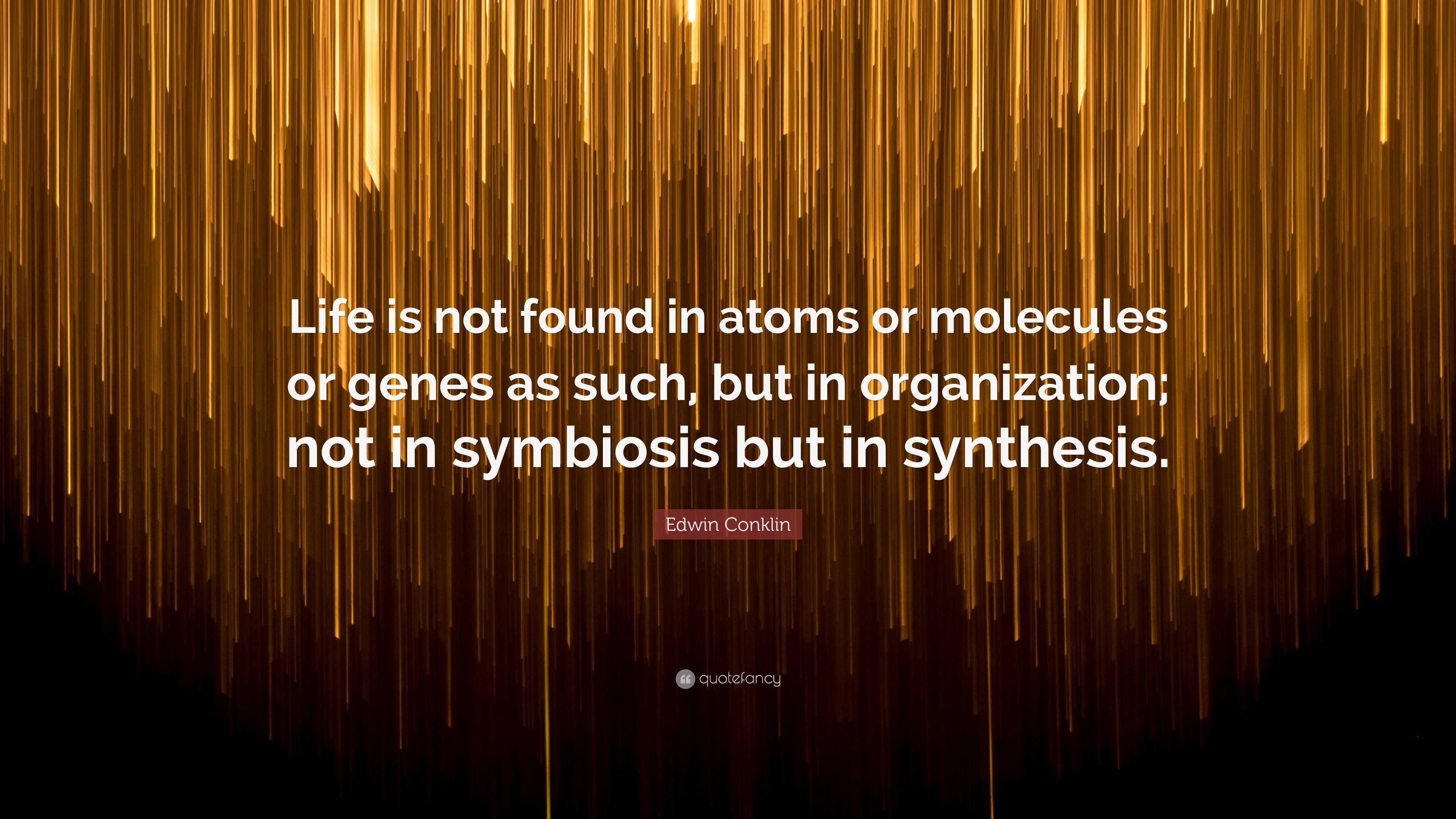 Edwin Conklin Quotes