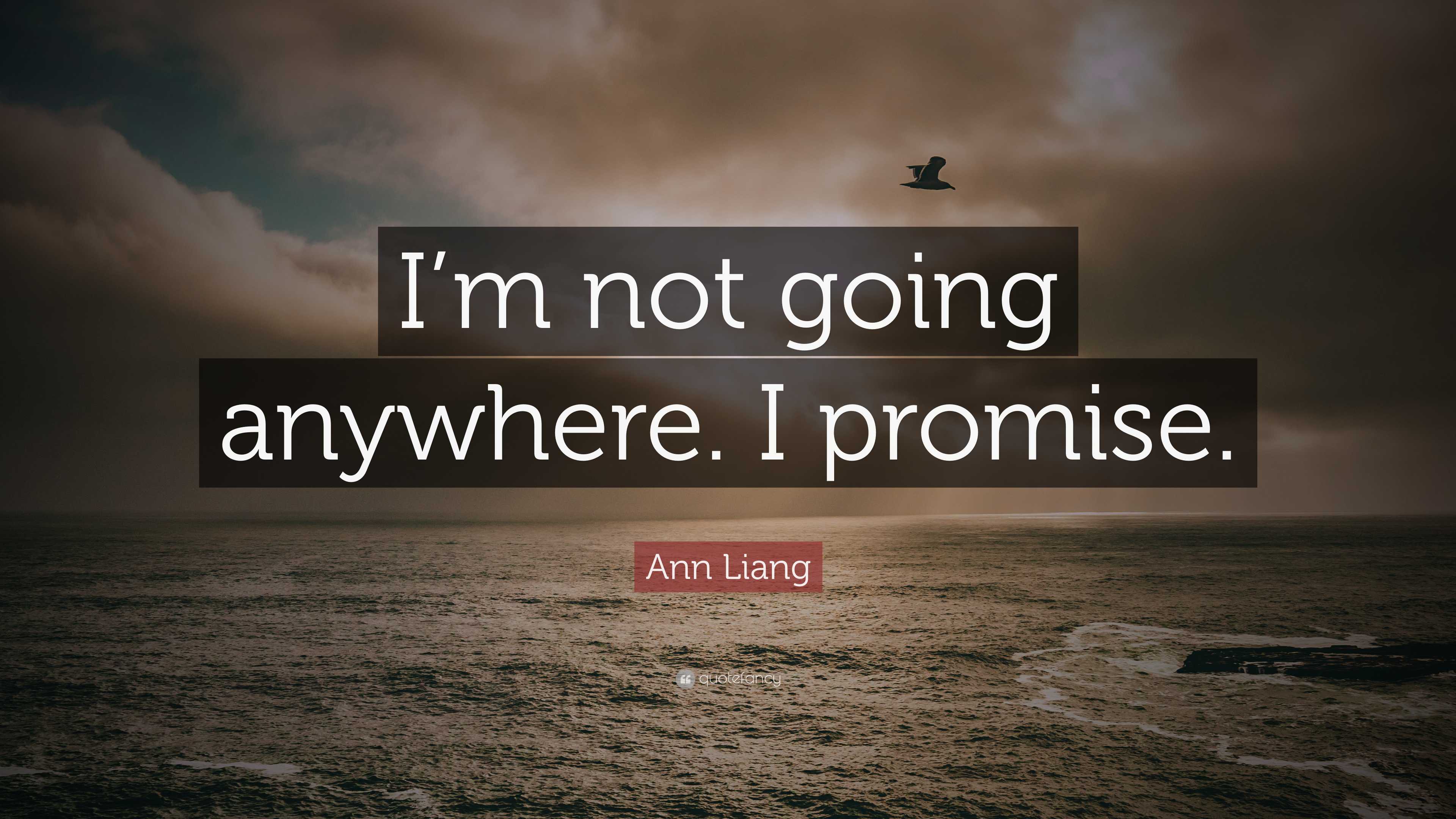 Ann Liang Quote: “I’m not going anywhere. I promise.”