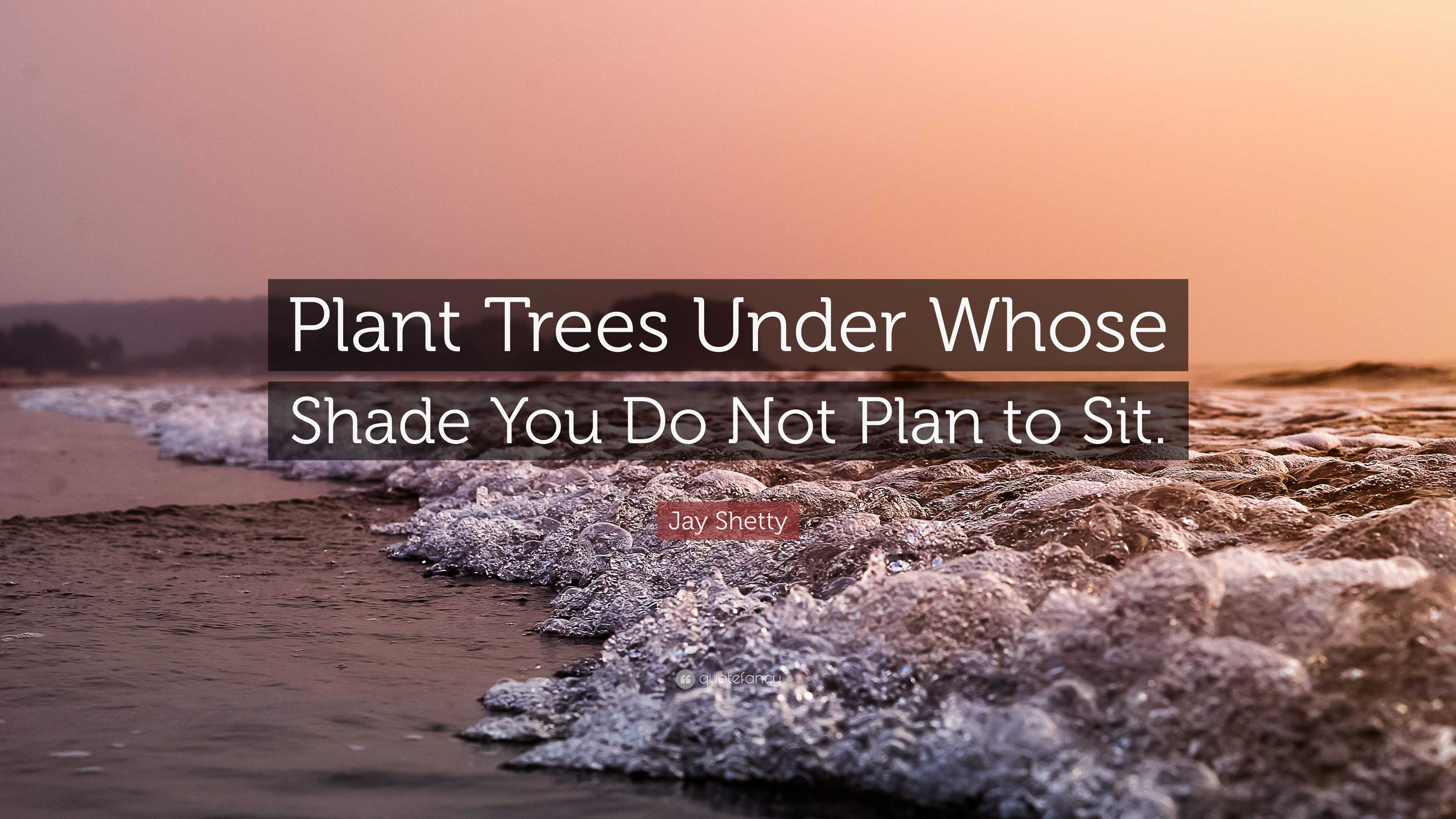 Jay Shetty Quote: “Plant Trees Under Whose Shade You Do Not Plan to Sit.”