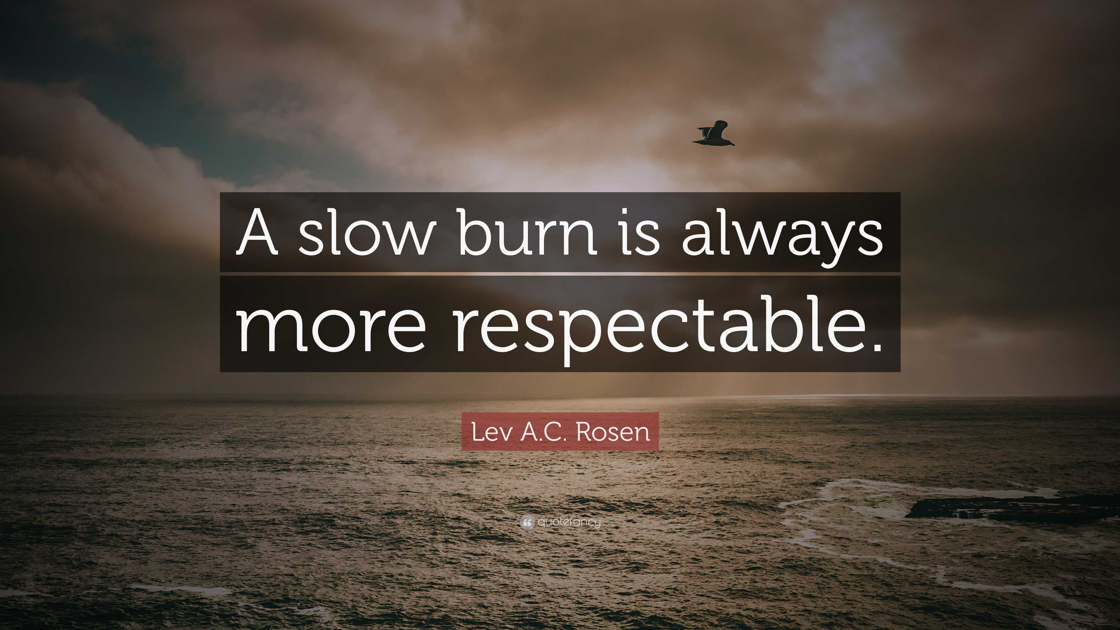 Lev A.C. Rosen Quote: “A slow burn is always more respectable.”