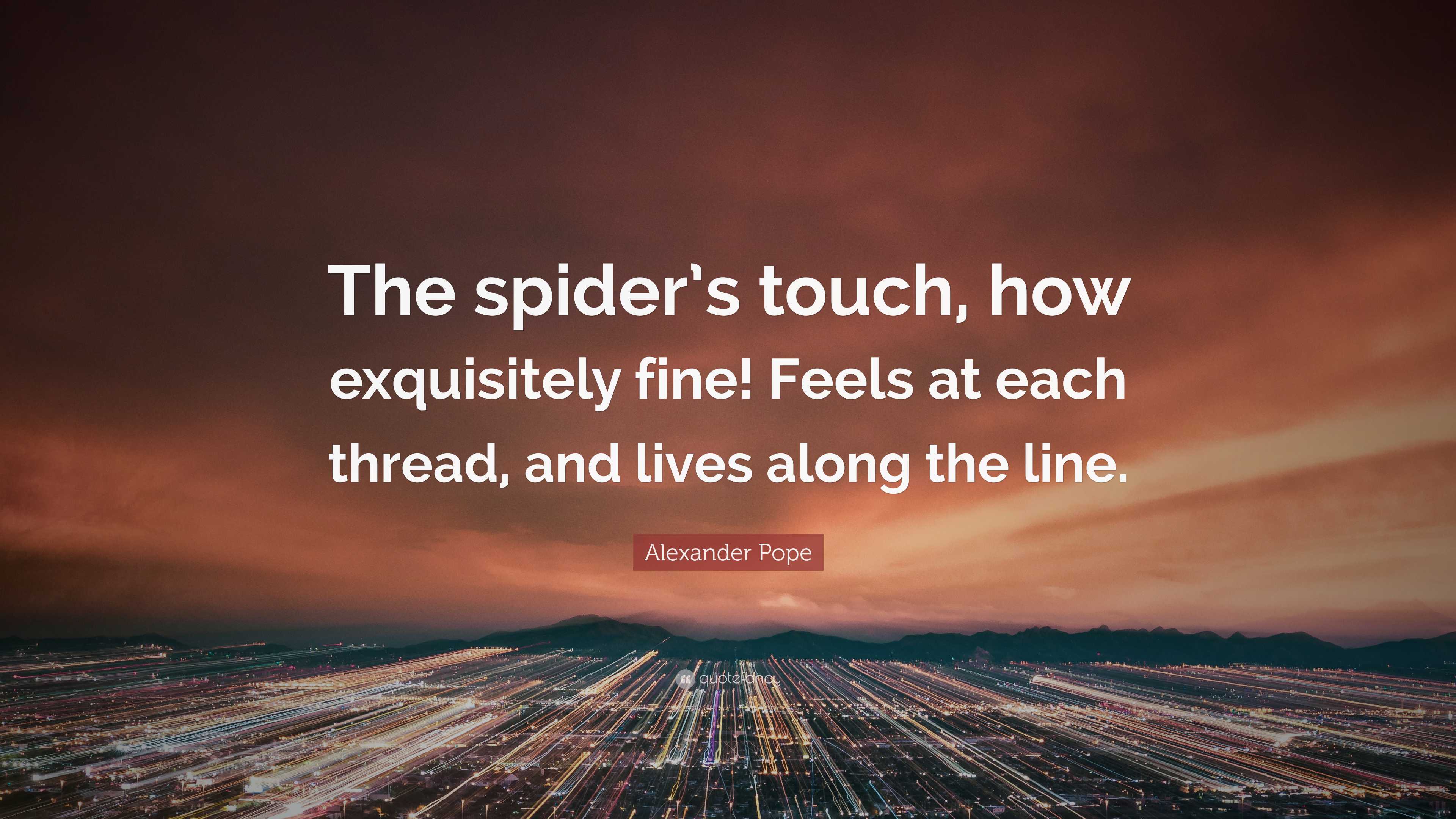 Alexander Pope Quote: “The spider’s touch, how exquisitely fine! Feels ...