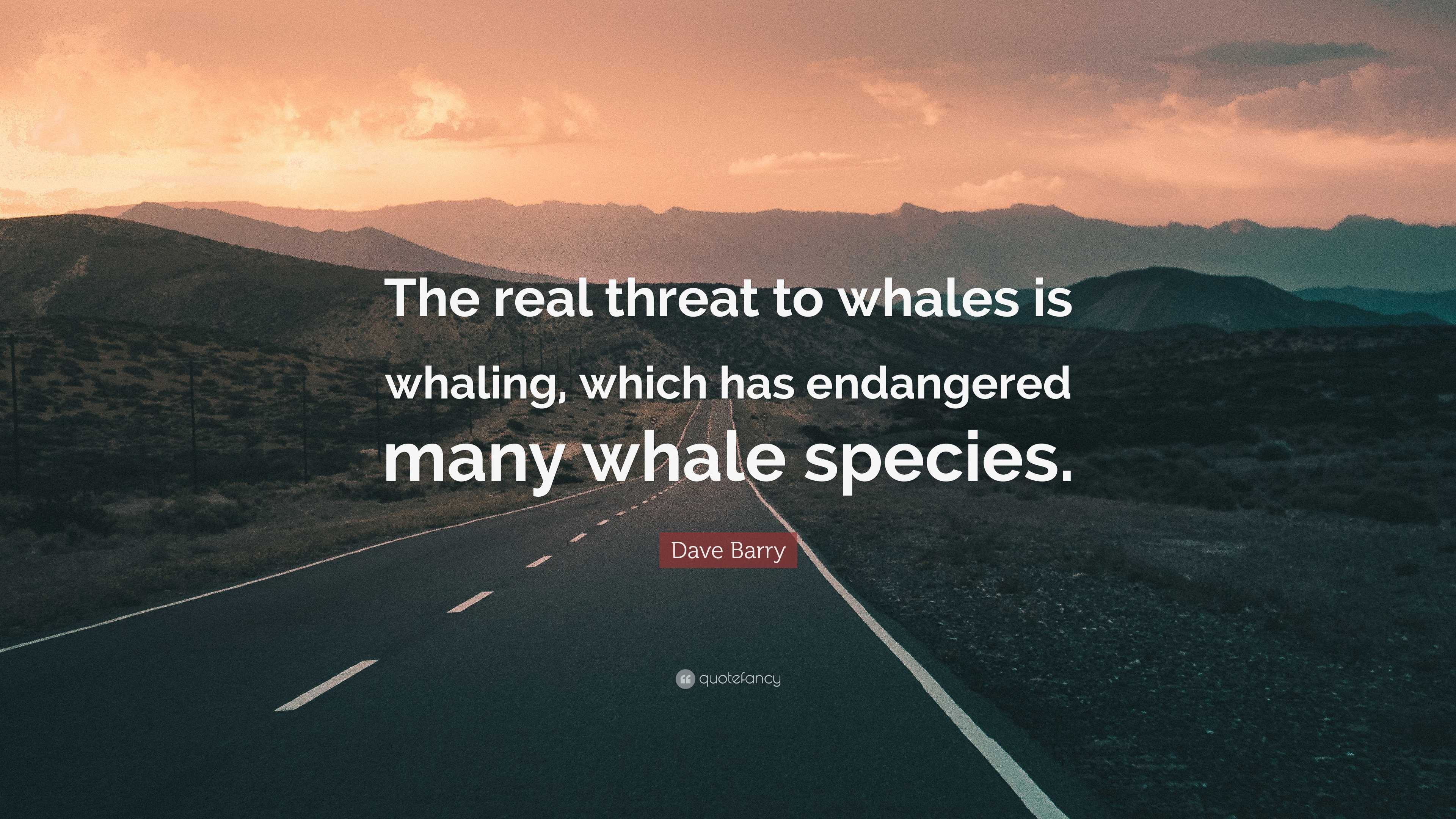 Dave Barry Quote: “The real threat to whales is whaling, which has ...