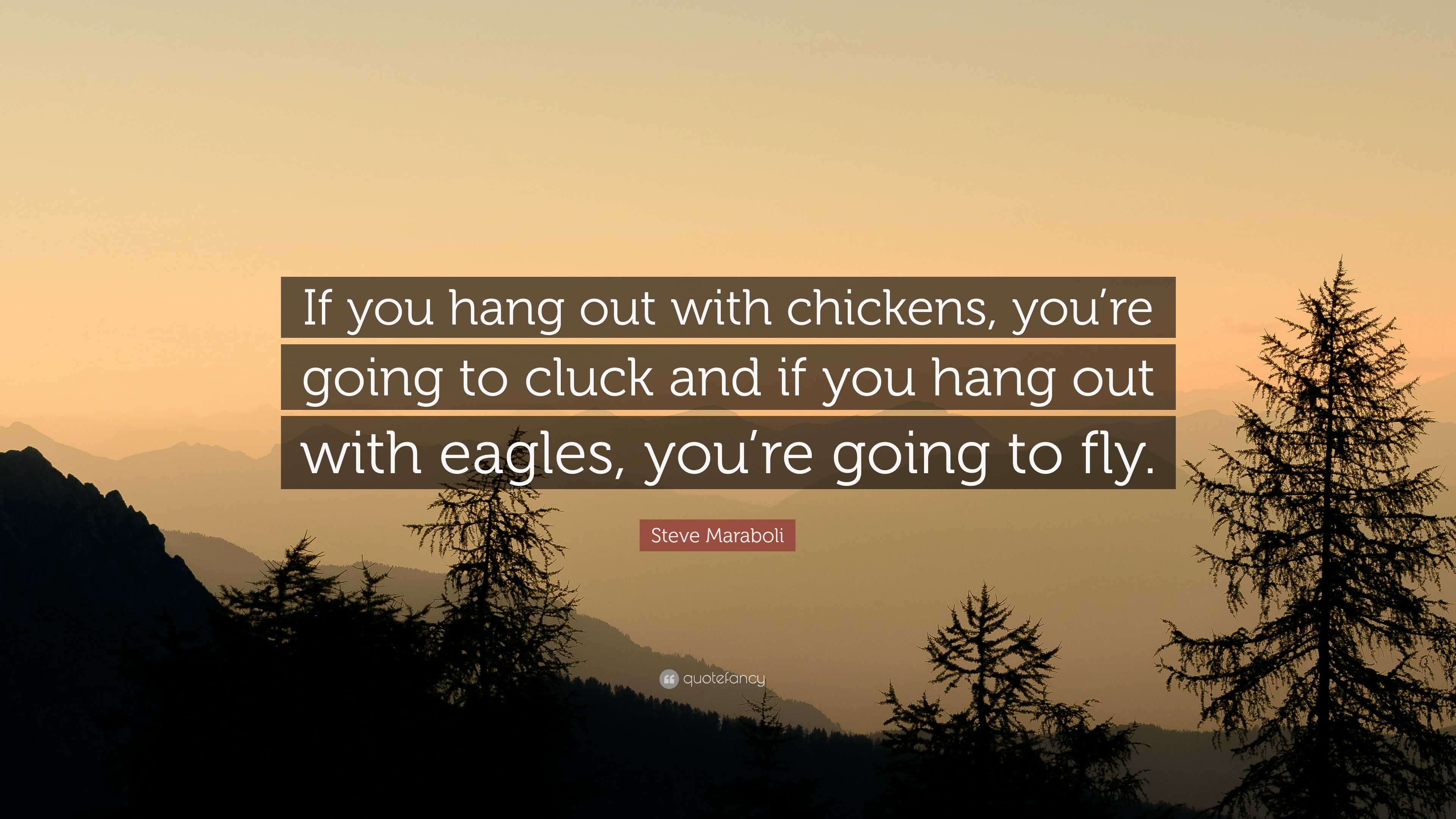 Steve Maraboli Quote: “If you hang out with chickens, you’re going to ...