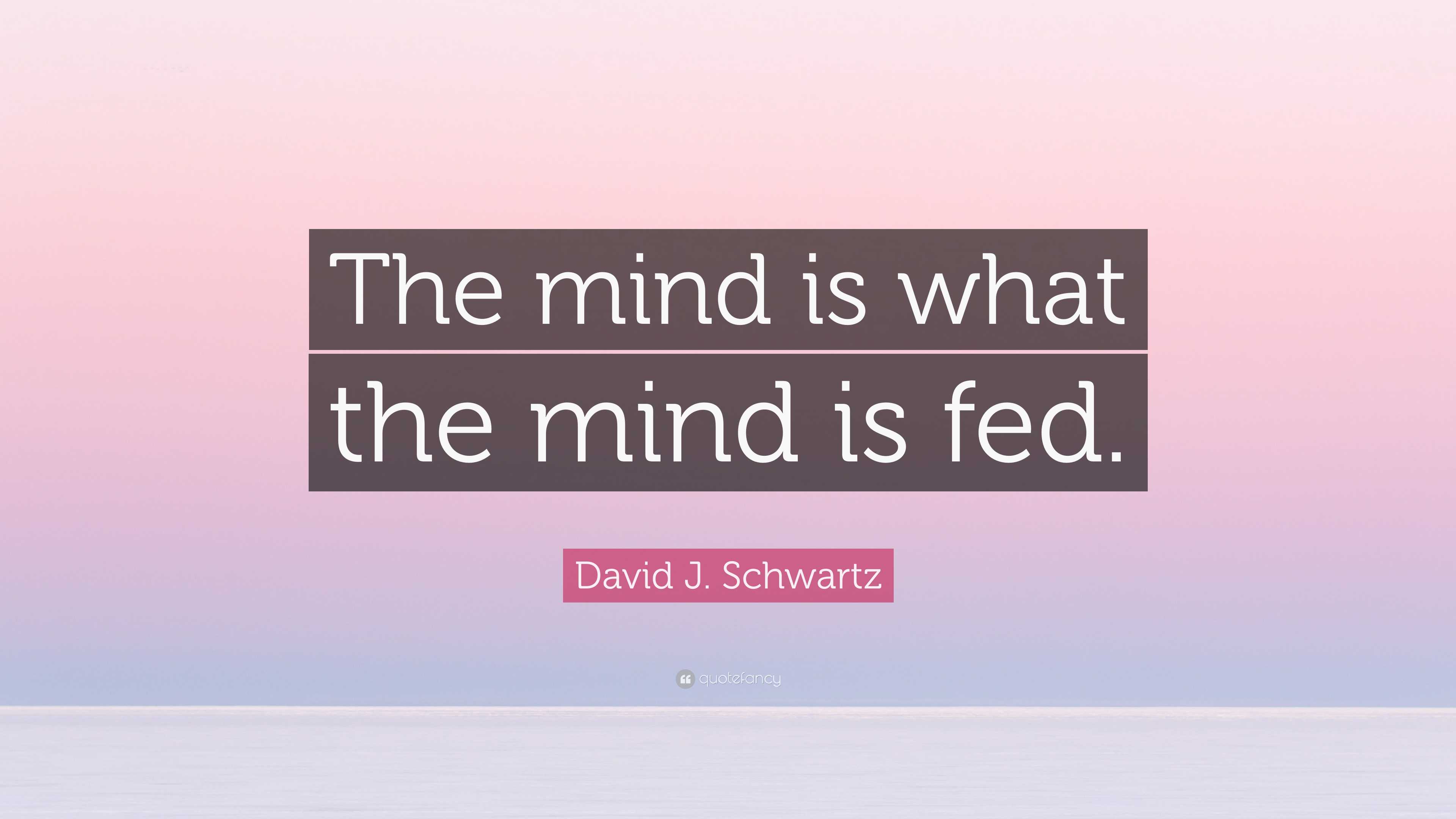 David J. Schwartz Quote: “The mind is what the mind is fed.”