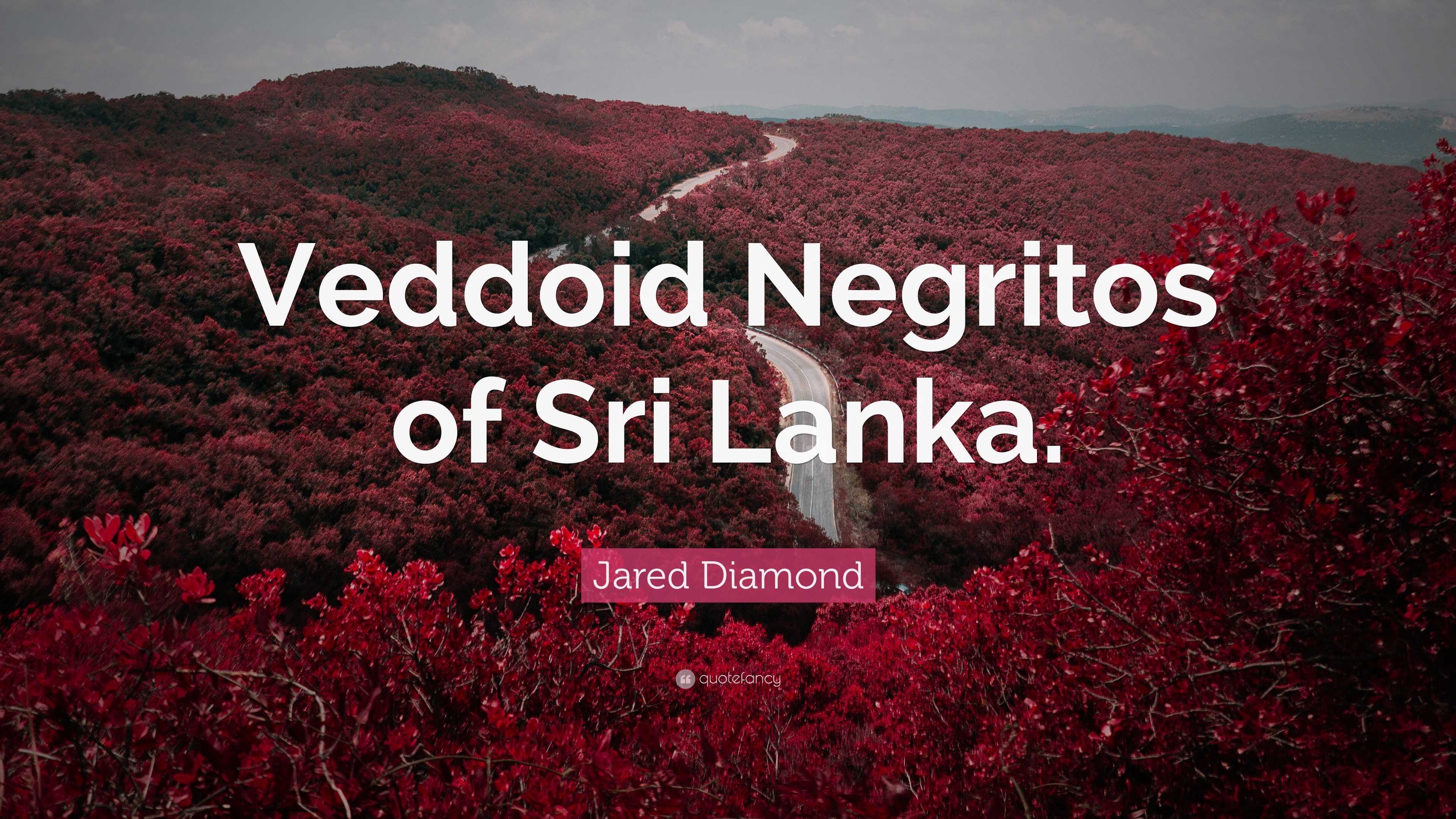 Jared Diamond Quote: “Veddoid Negritos of Sri Lanka.”