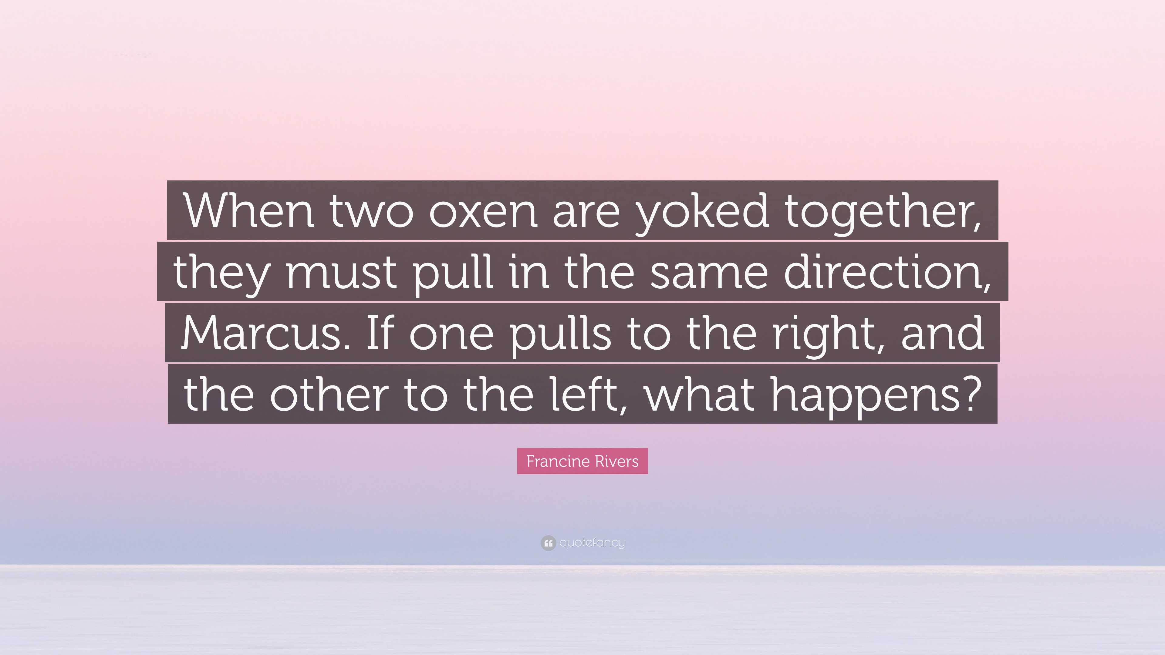 Francine Rivers Quote: “When two oxen are yoked together, they must ...