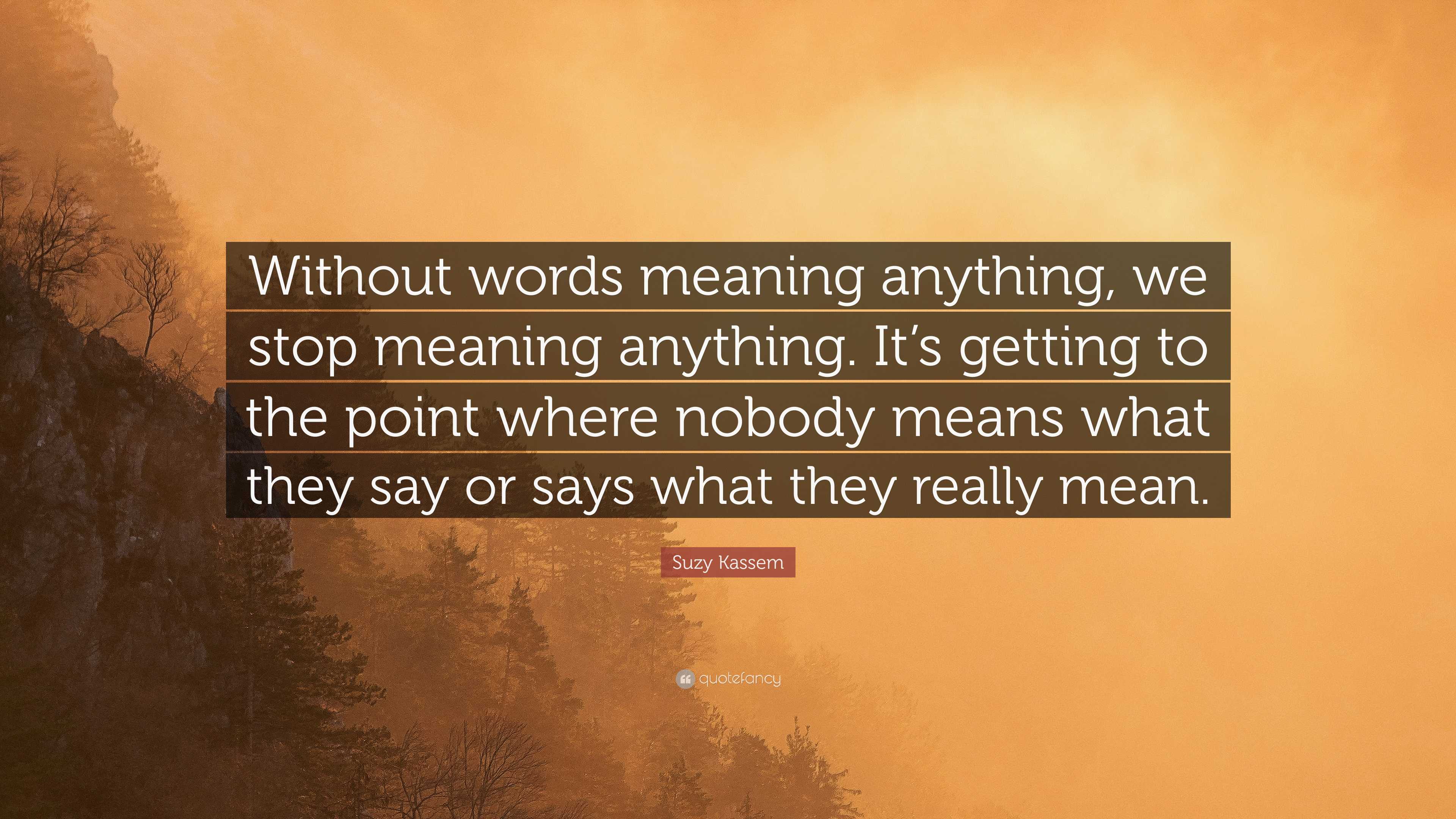 Suzy Kassem Quote: “Without words meaning anything, we stop meaning ...