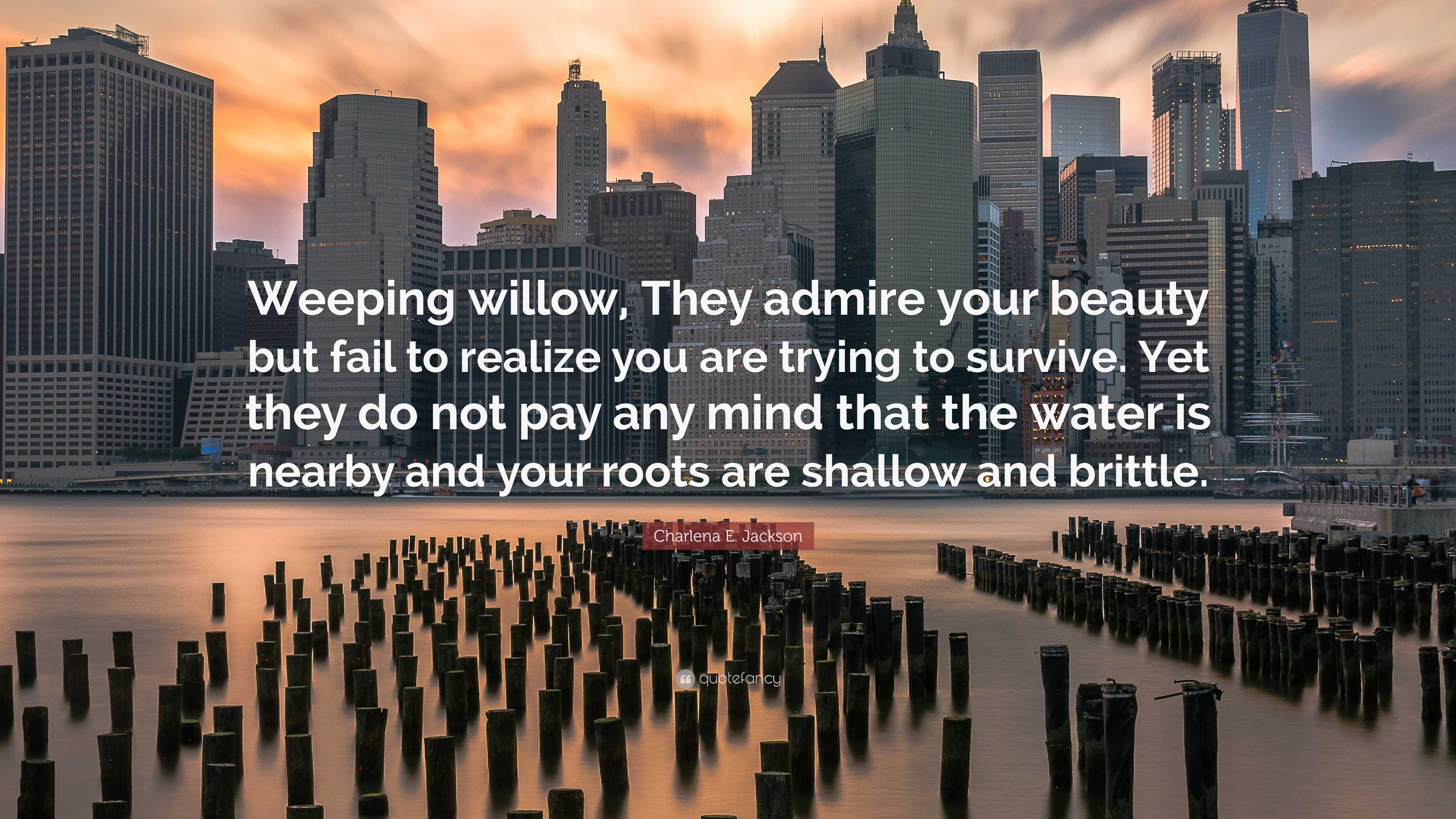Charlena E. Jackson Quote: “Weeping willow, They admire your beauty but ...