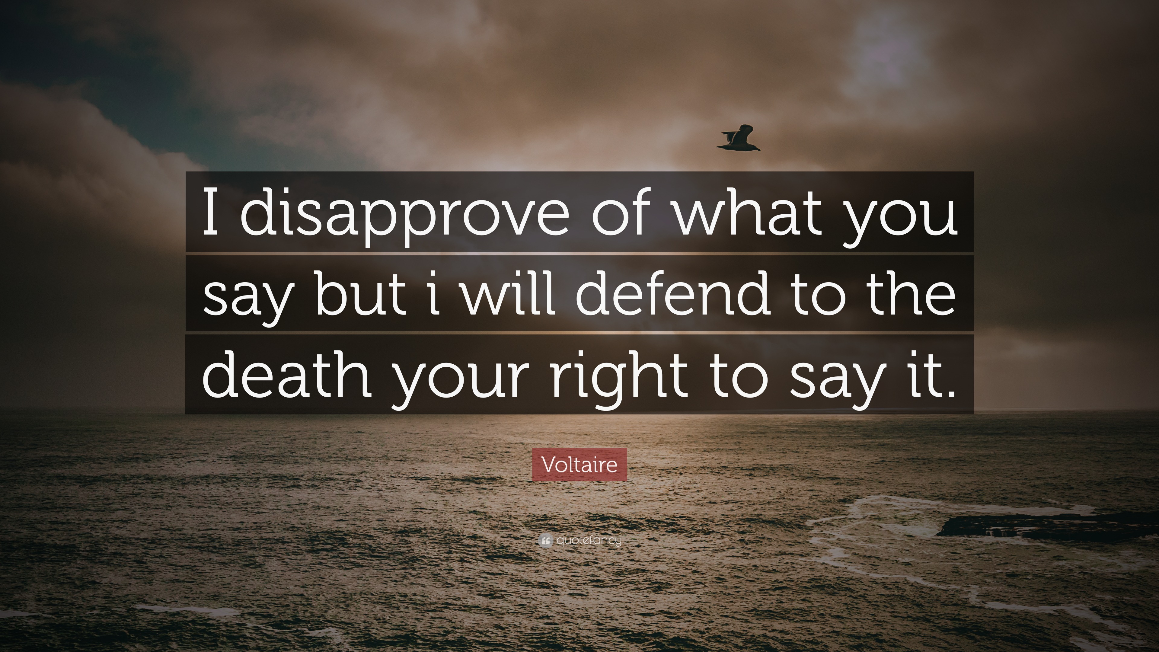 Voltaire Quote: “I disapprove of what you say but i will defend to the ...