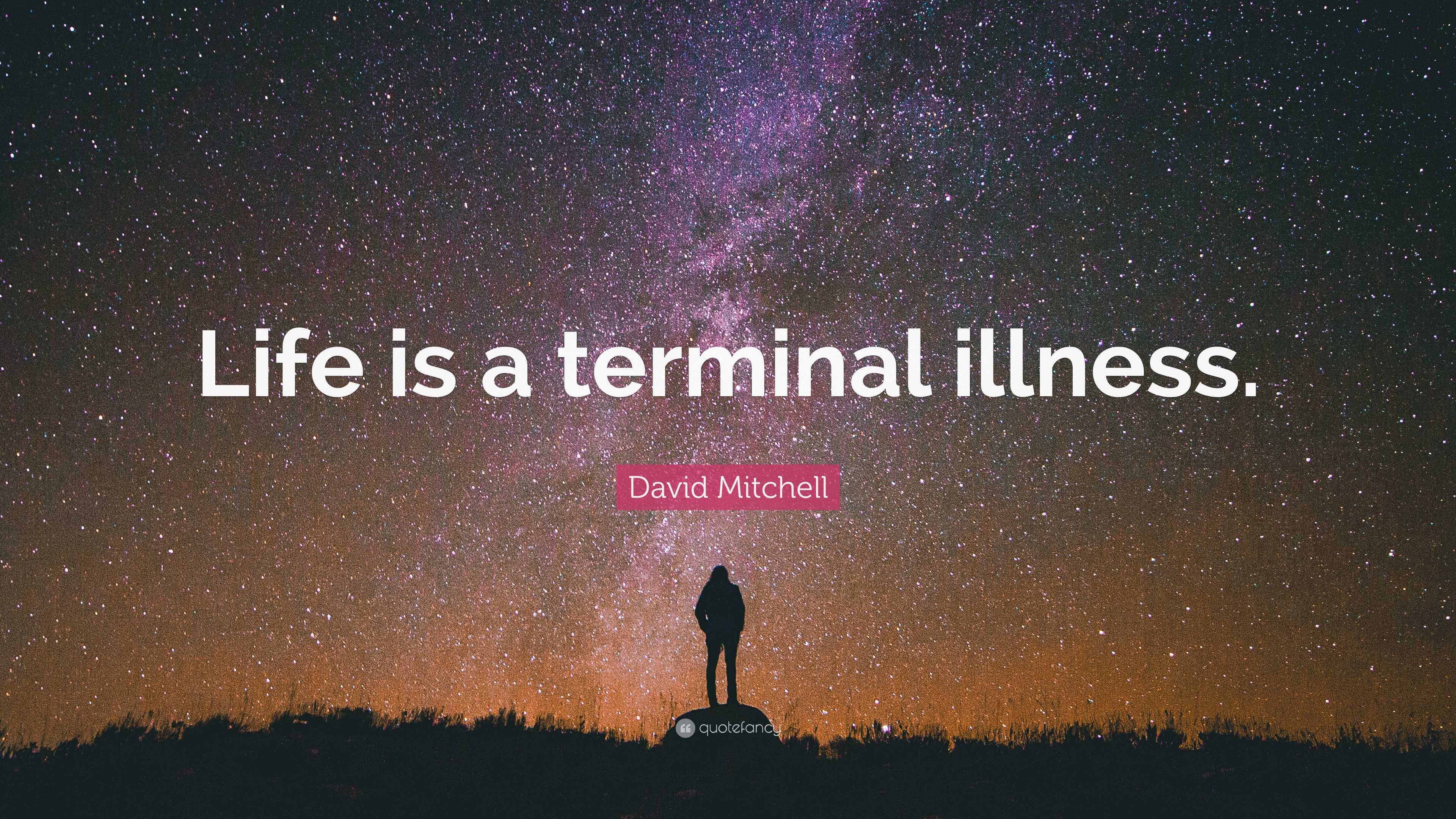 David Mitchell Quote: “Life is a terminal illness.”