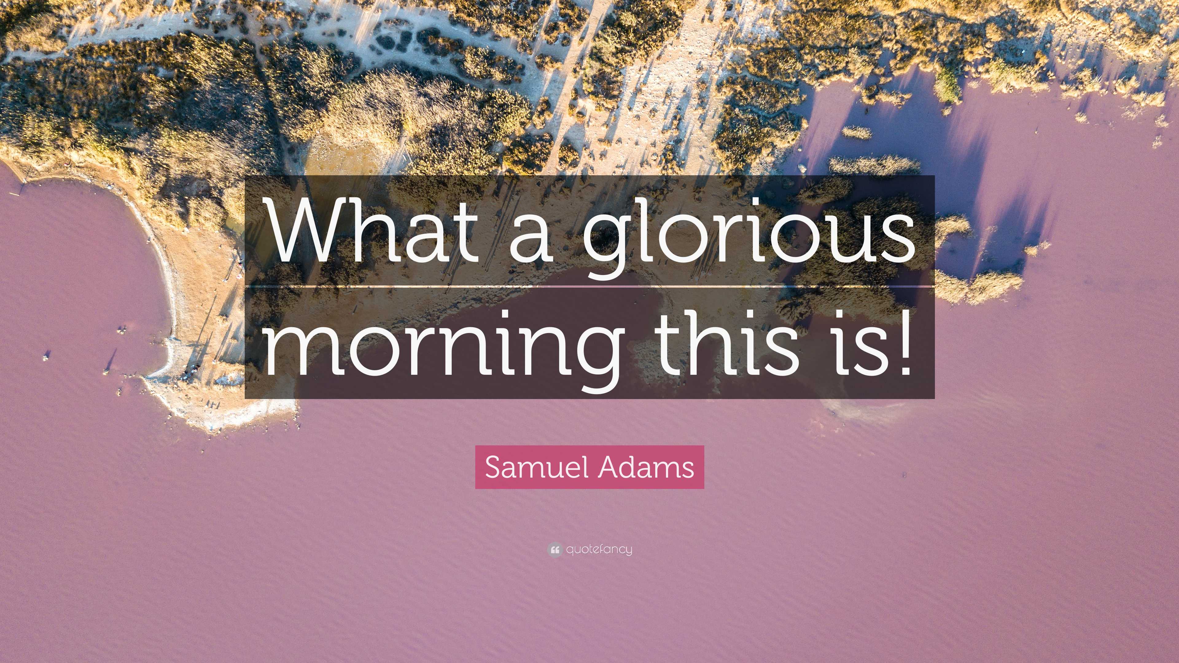 Samuel Adams Quote: “What a glorious morning this is!”