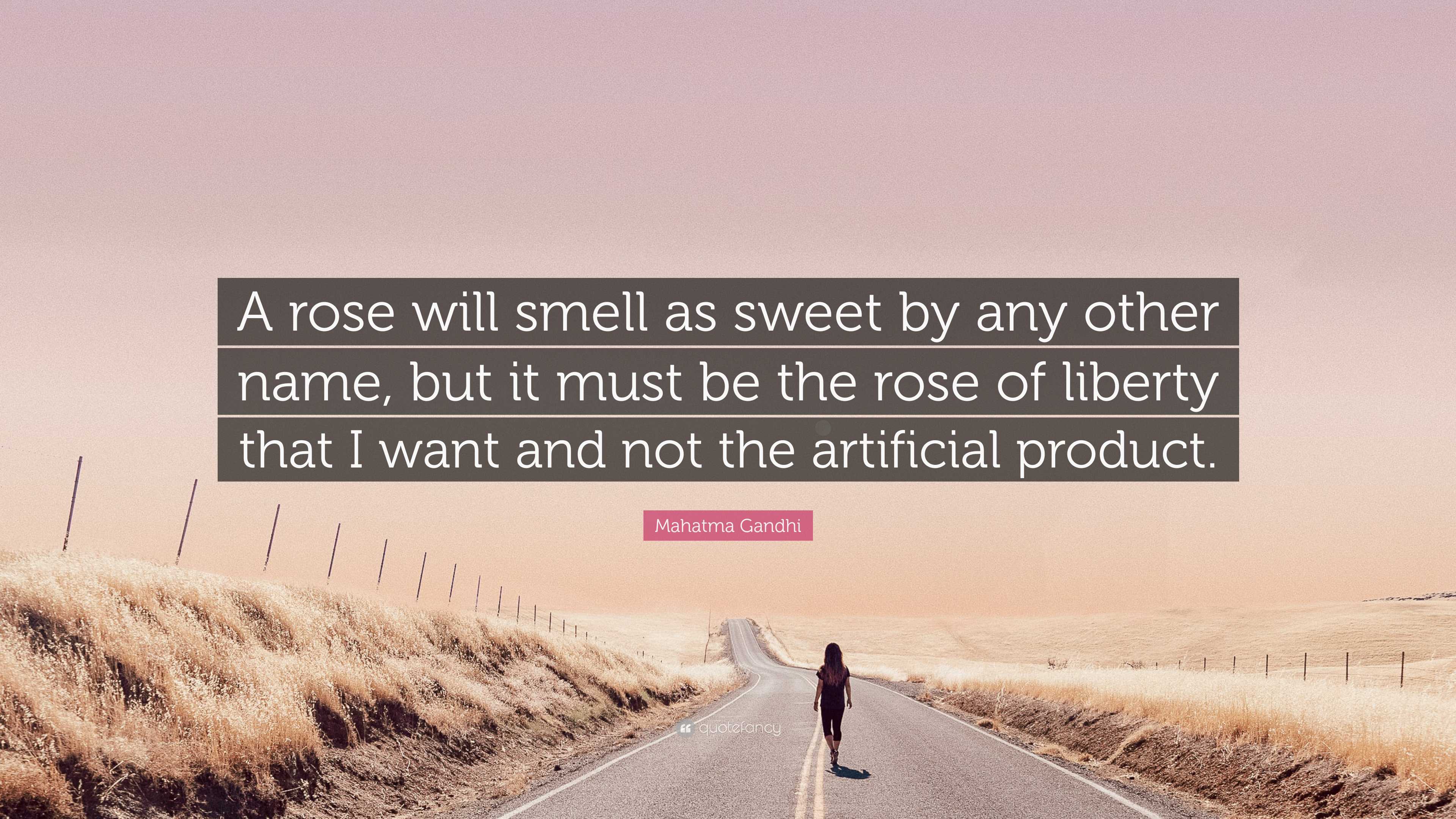 Mahatma Gandhi Quote: “A rose will smell as sweet by any other name ...