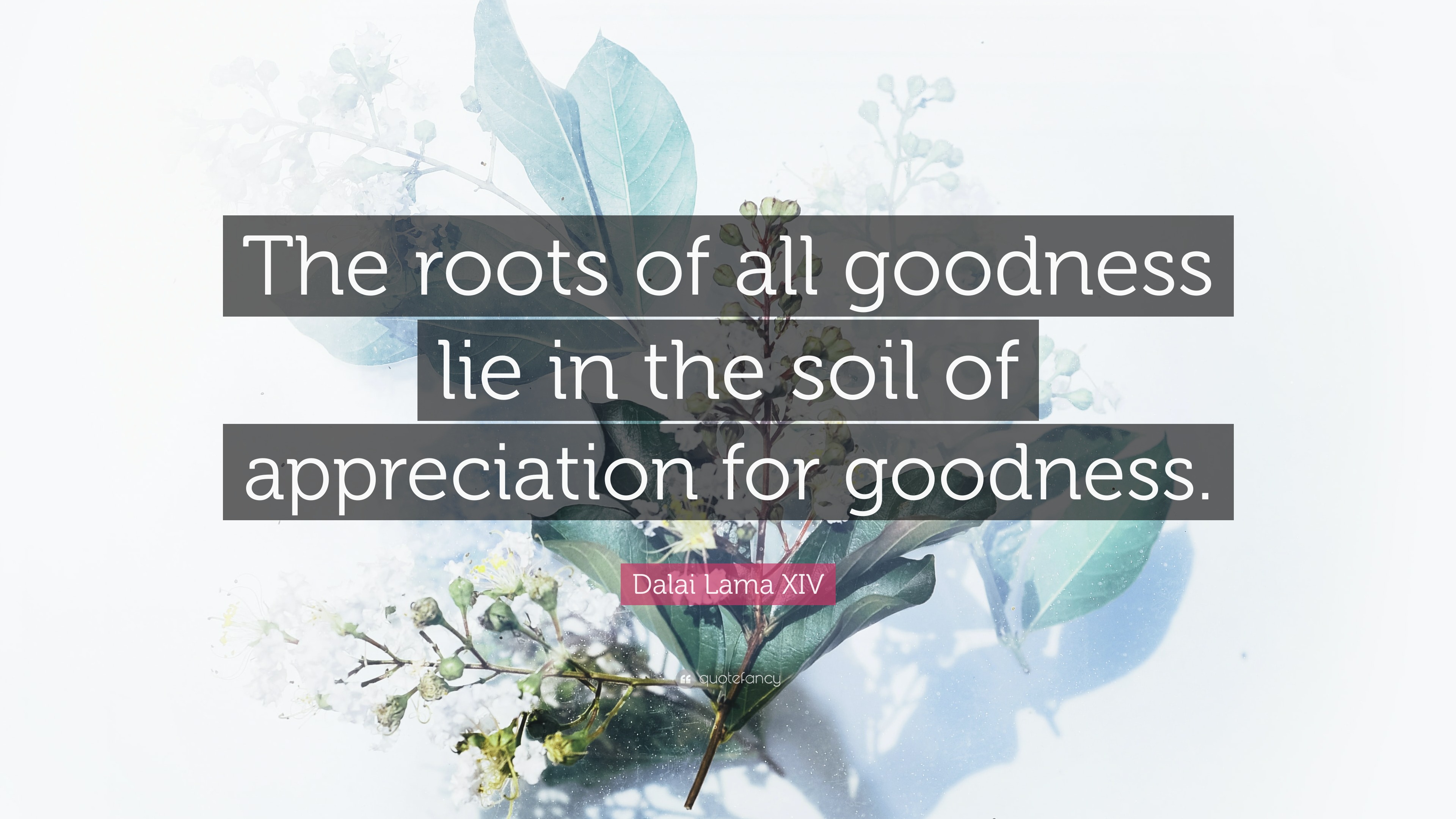Dalai Lama XIV Quote: “The roots of all goodness lie in the soil of ...