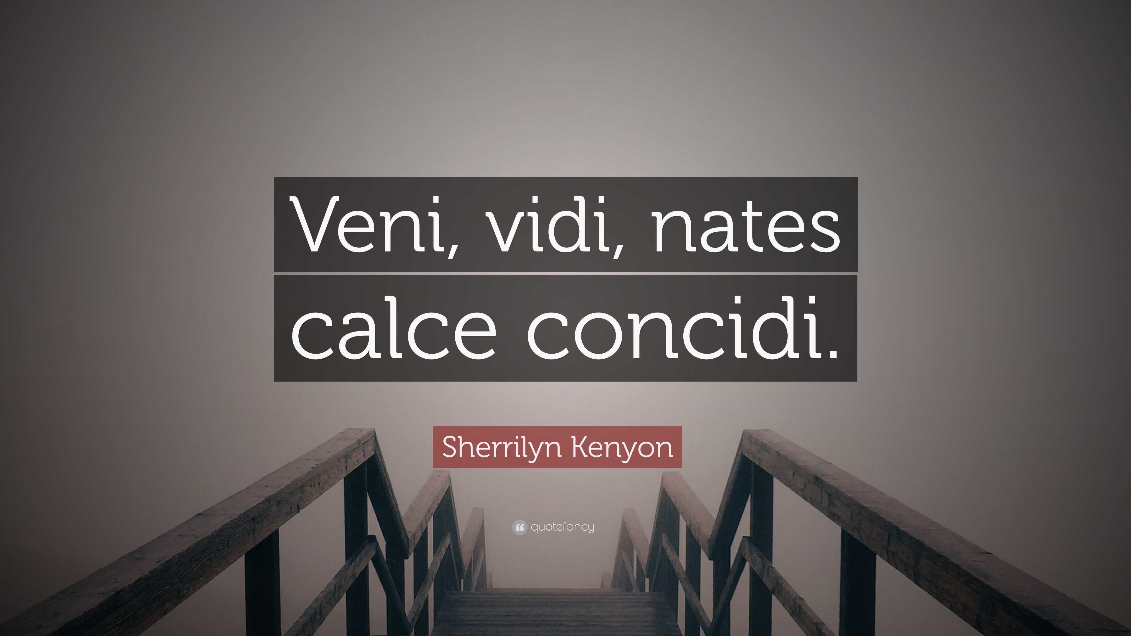 Sherrilyn Kenyon Quote: “Veni, vidi, nates calce concidi.”