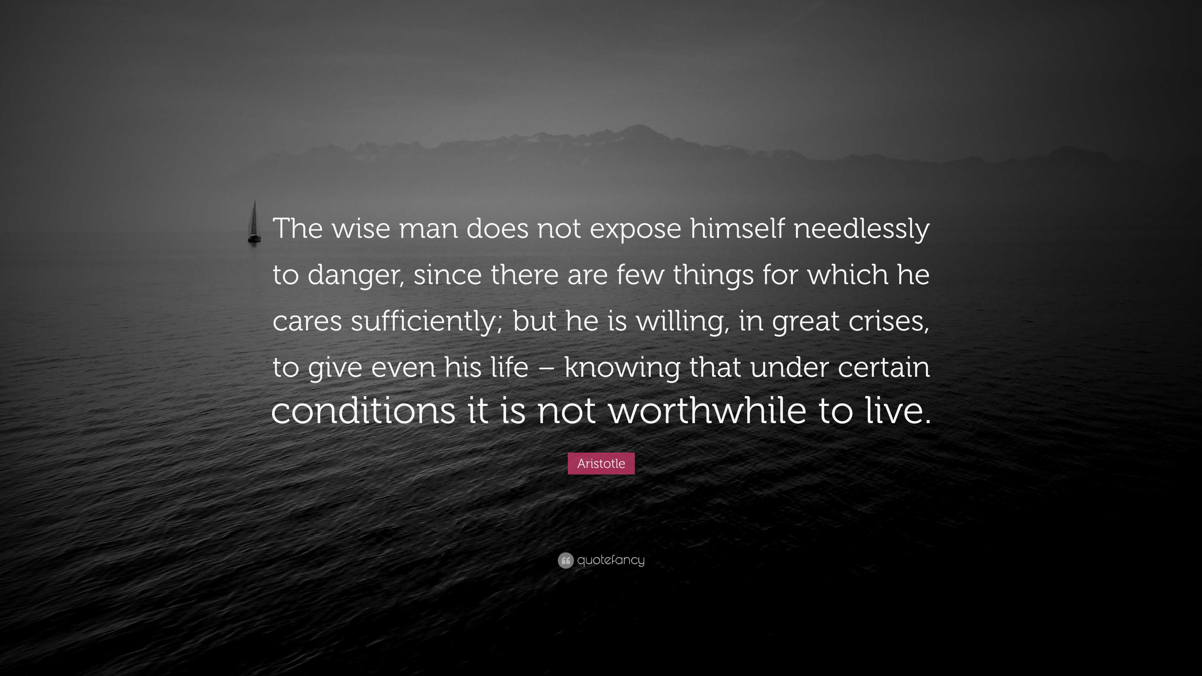 Aristotle Quote: “The wise man does not expose himself needlessly to ...