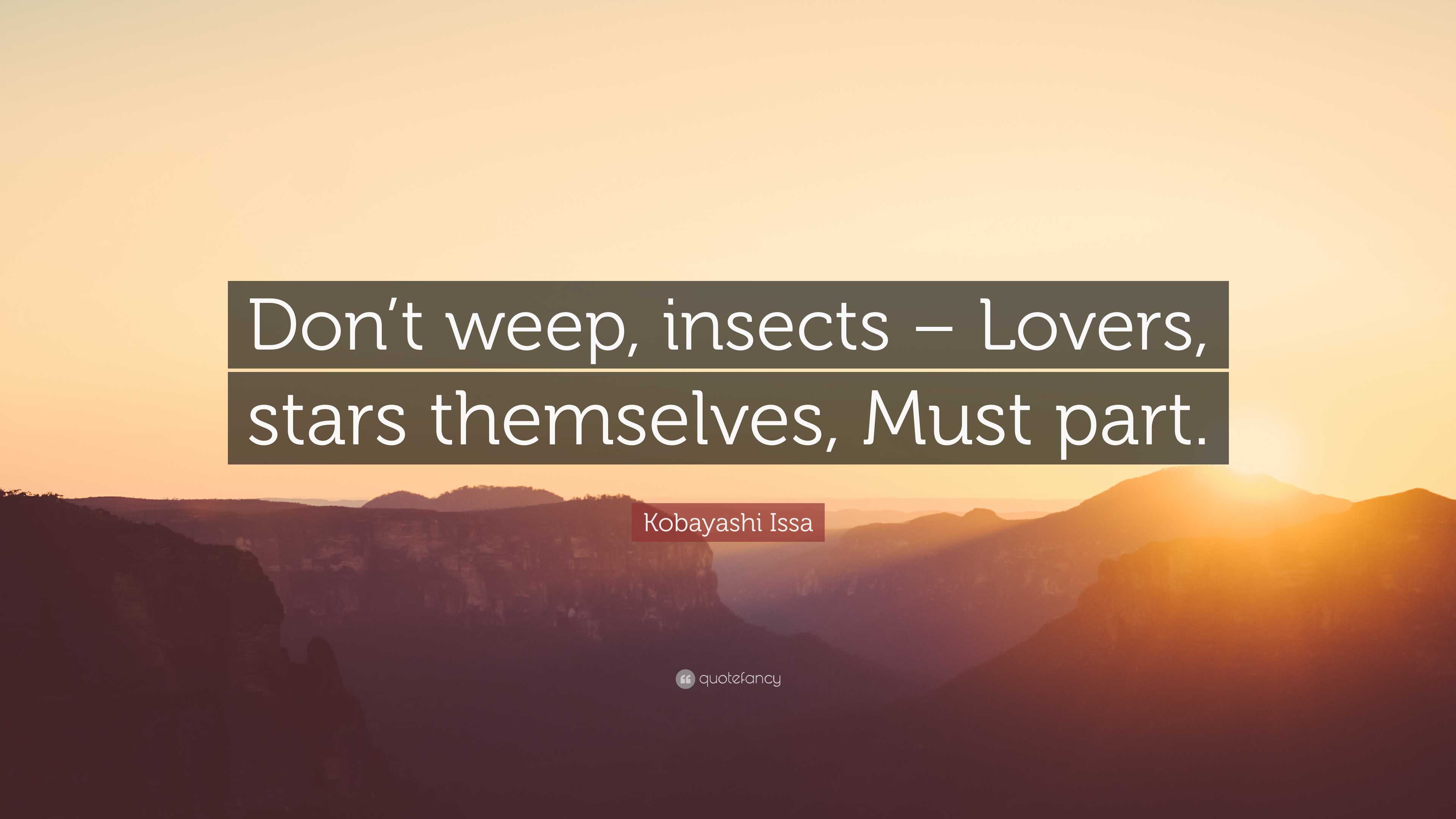 Kobayashi Issa Quote: “Don’t weep, insects – Lovers, stars themselves ...