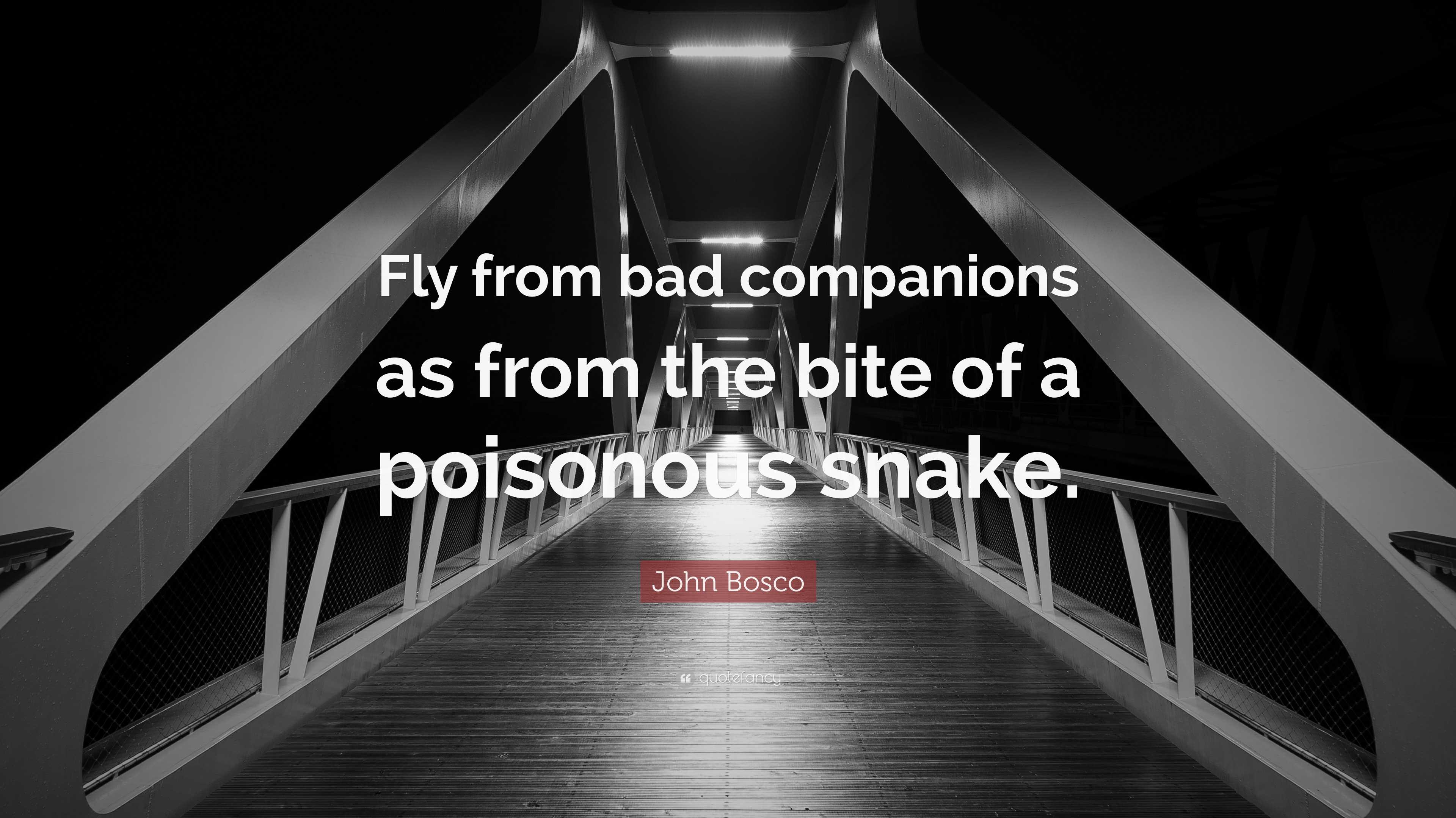 John Bosco Quote: “Fly from bad companions as from the bite of a ...