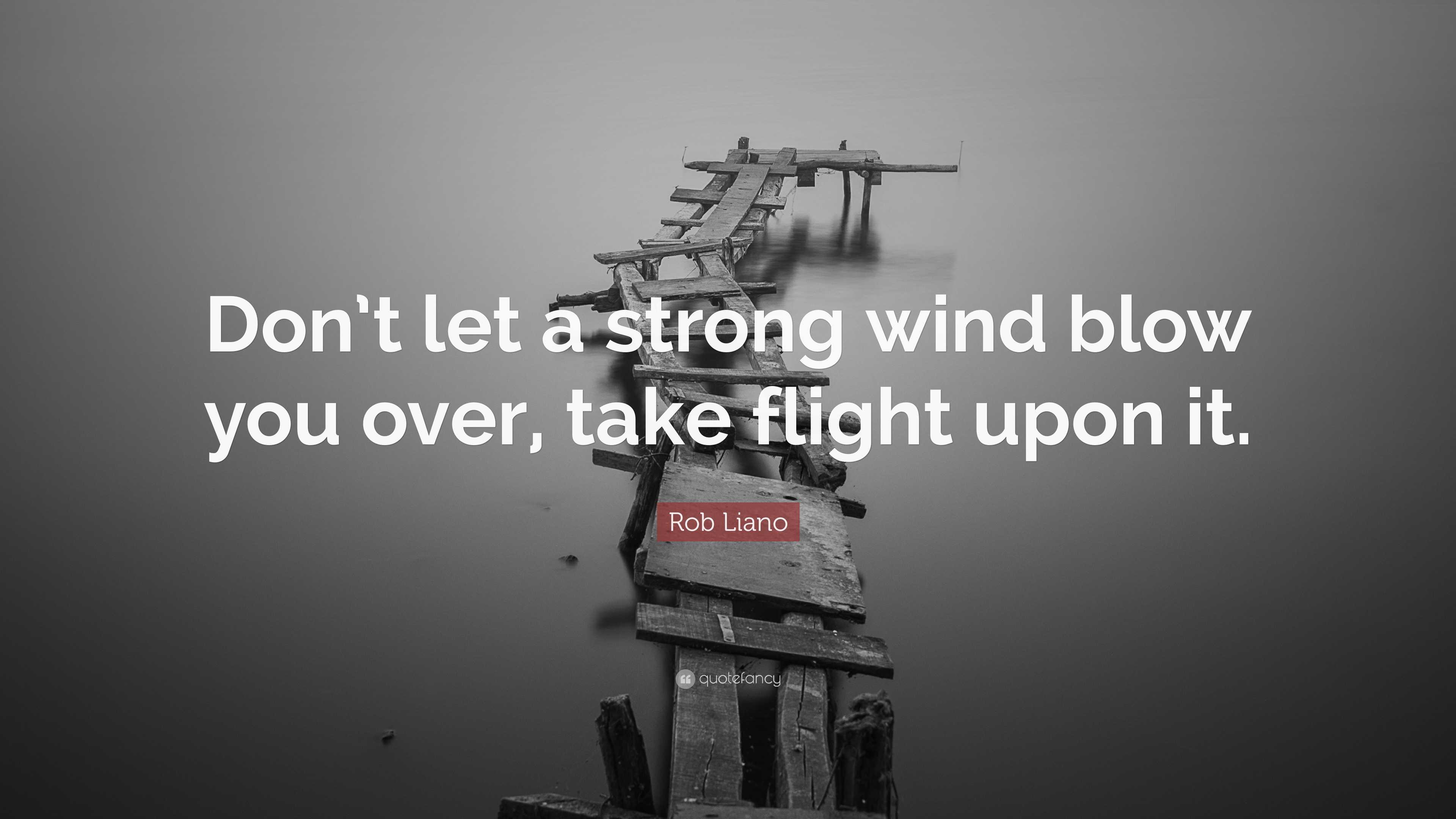 Rob Liano Quote: “Don’t let a strong wind blow you over, take flight ...