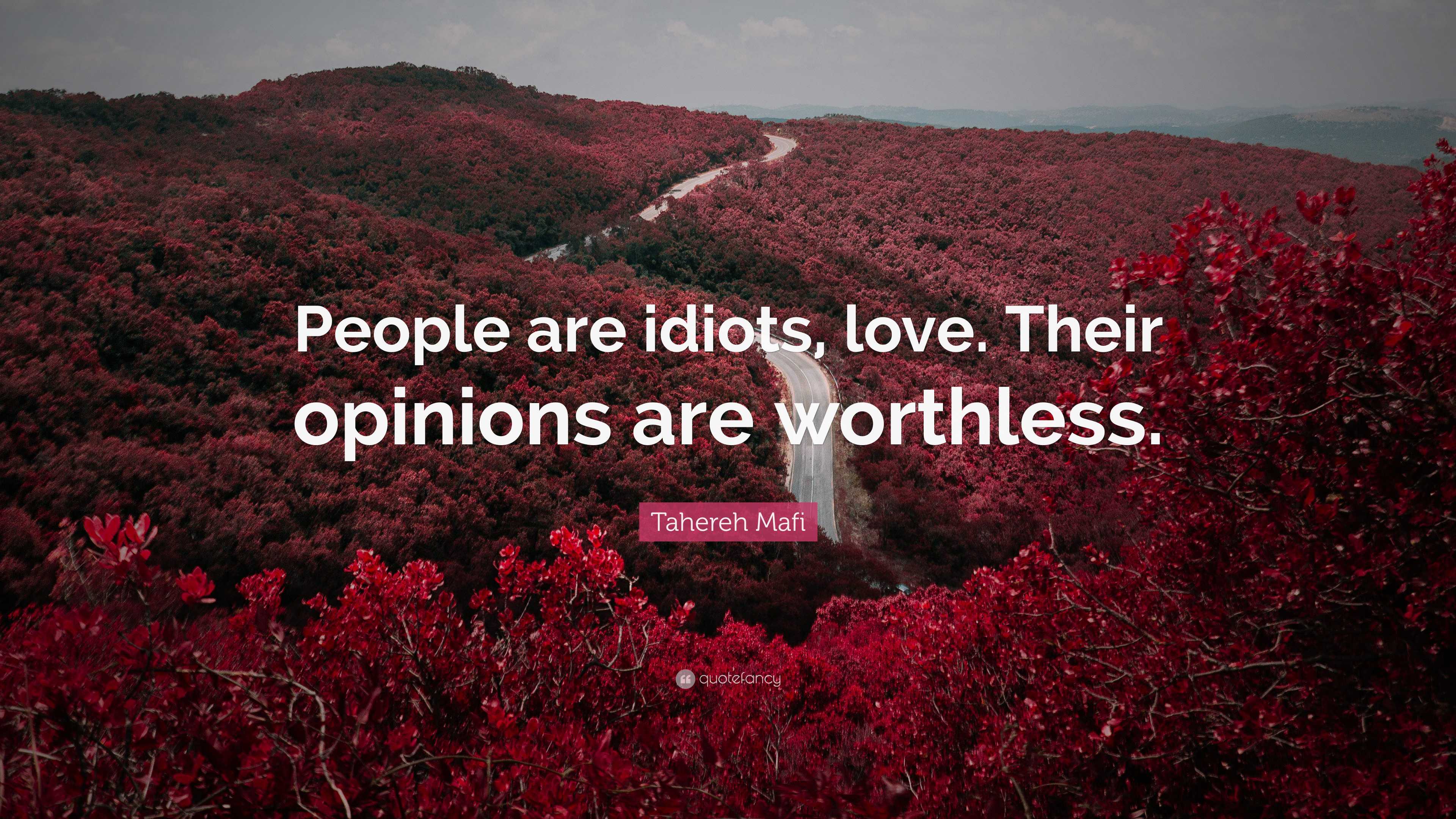 Tahereh Mafi Quote: “People are idiots, love. Their opinions are ...